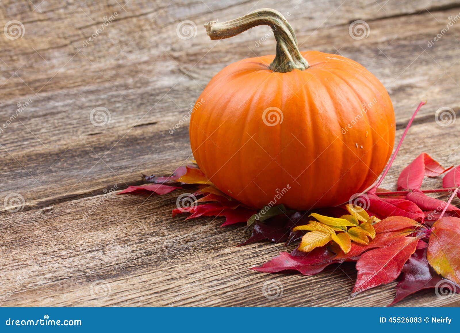 Pumpkin on table stock image. Image of autumn, outdoor - 45526083