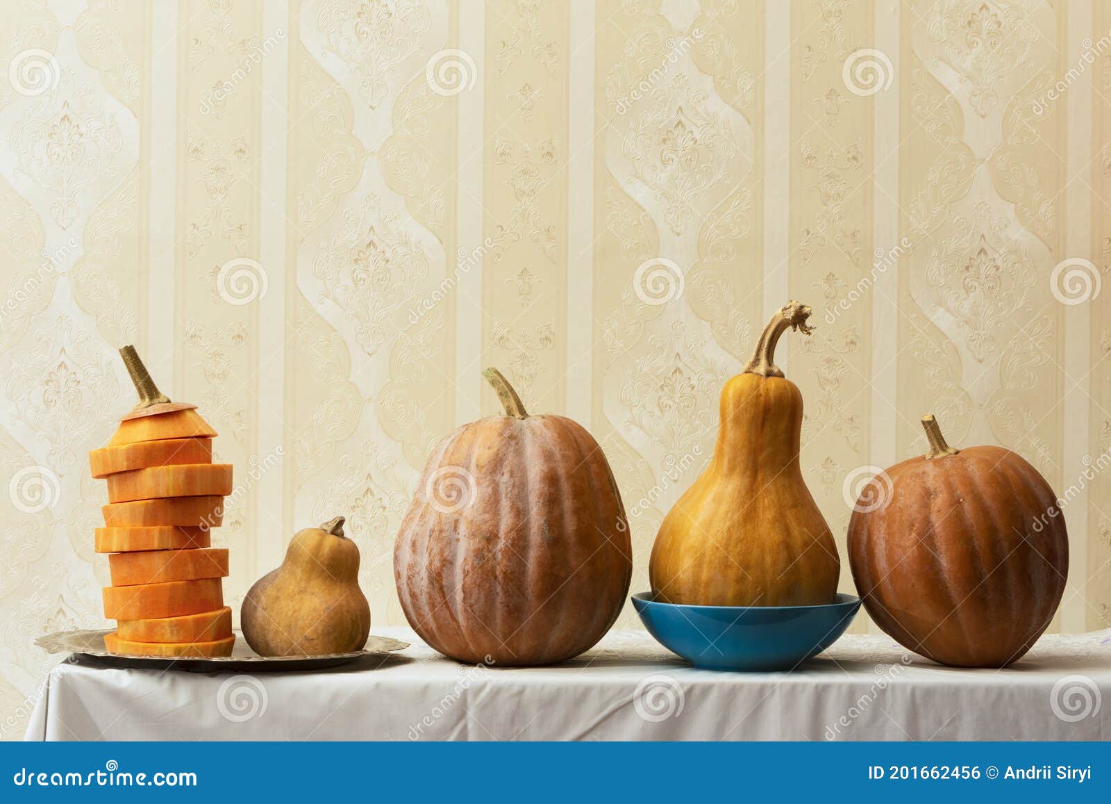 Pumpkin on a Table of Various Varieties and Shapes. Stock Photo - Image ...