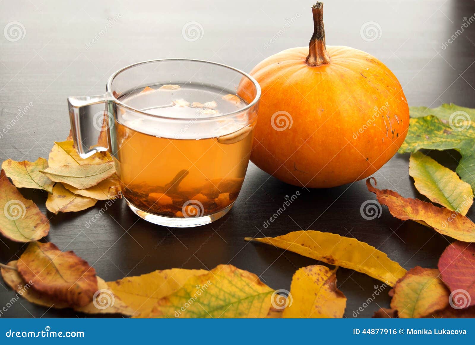 Pumpkin and tea mug stock photo. Image of food, pumpkin - 44877916