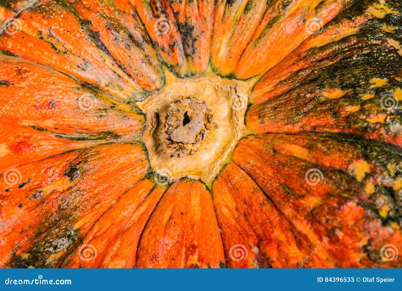 Pumpkin texture stock image. Image of fruit, peel, pumpkin - 84396533