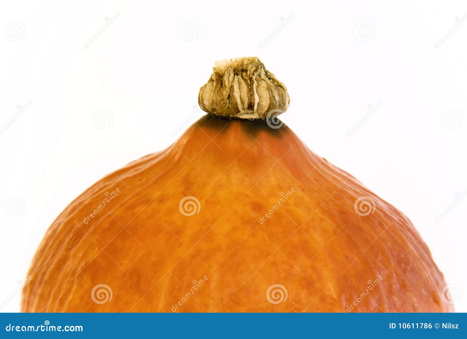 Pumpkin top stock photo. Image of vitamins, garden, fruit - 10611786