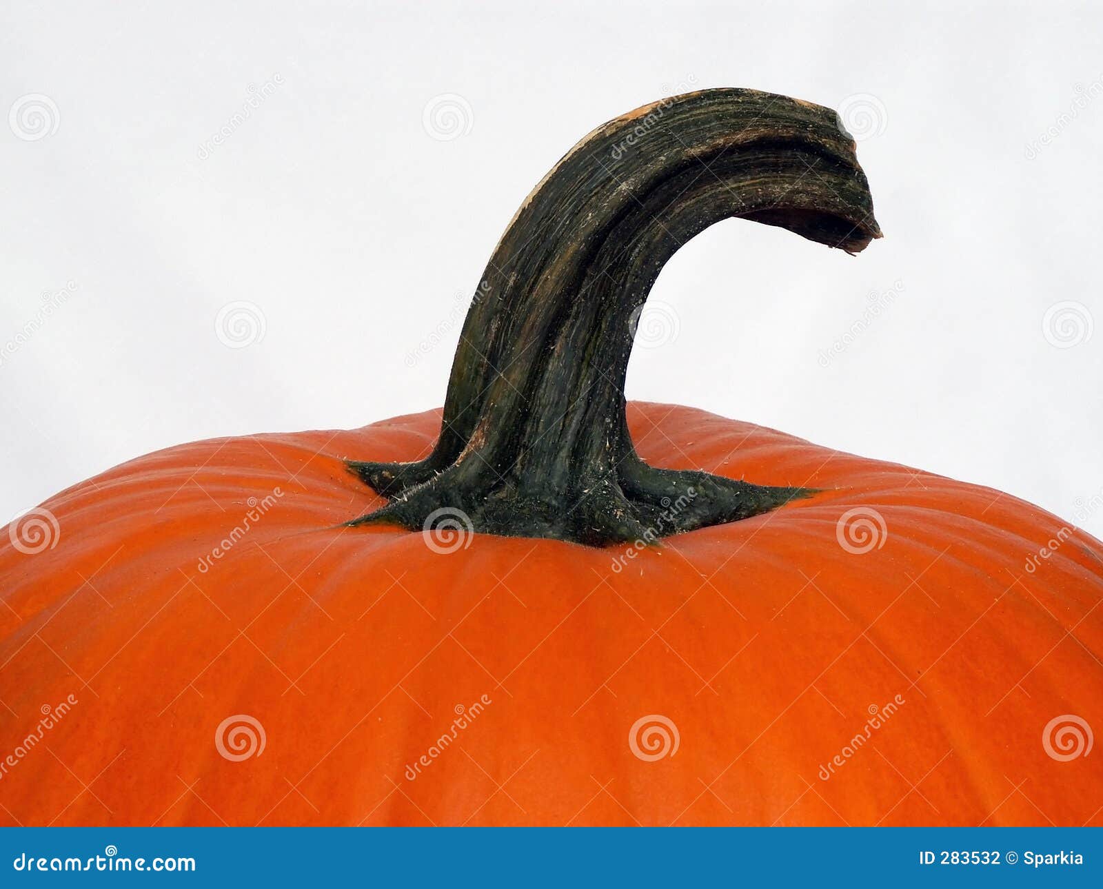 Pumpkin top stock photo. Image of decoration, fall, food - 283532
