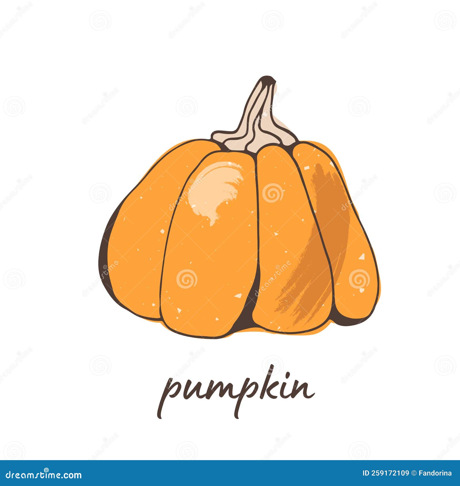 Pumpkin Vector Illustration, Hand Drawn Stock Vector - Illustration of ...