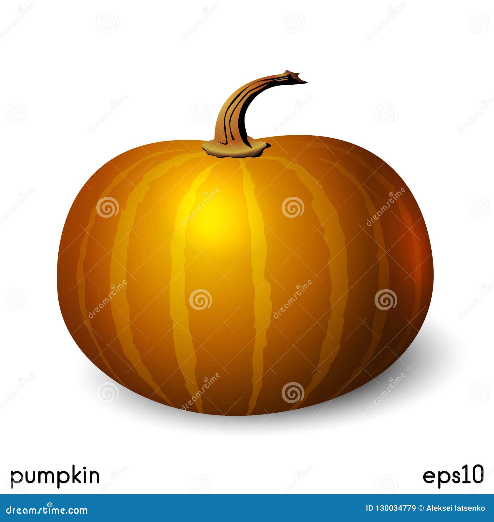 Pumpkin Vector Illustration Isolated with Shadow Stock Vector ...