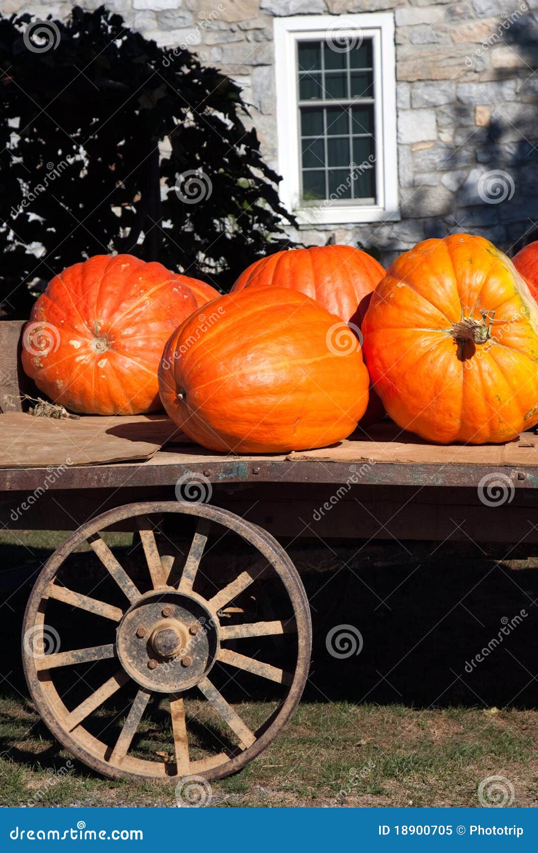Pumpkin Wagon stock image. Image of farmhouse, fall, pumpkin - 18900705