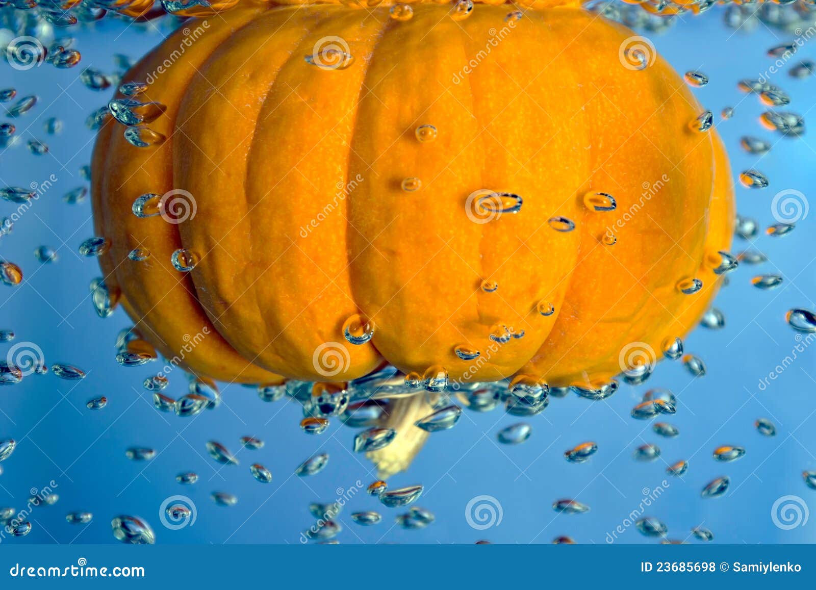 Pumpkin in a water stock photo. Image of water, small - 23685698
