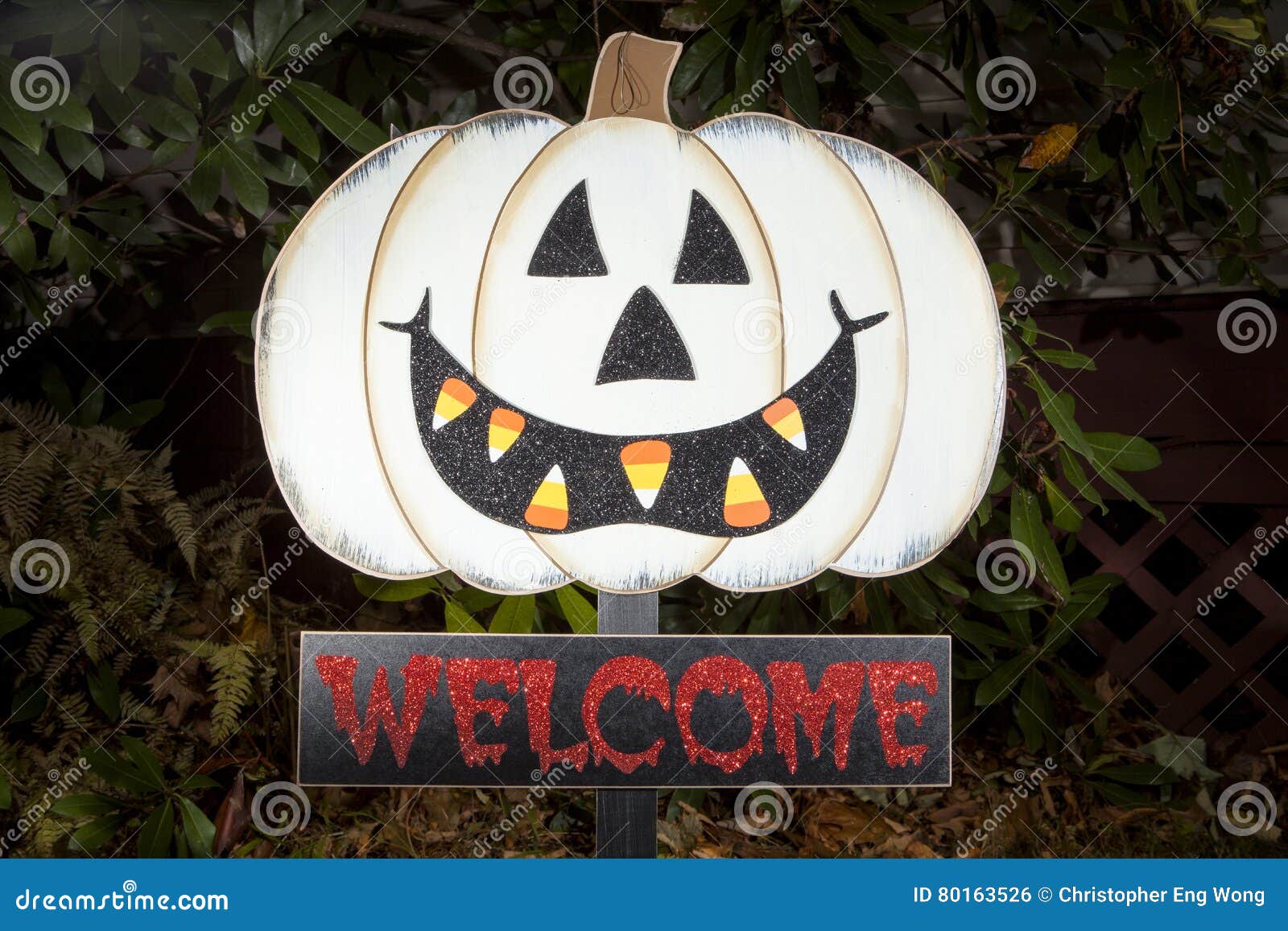 Pumpkin Welcome stock photo. Image of seasonal, holiday - 80163526