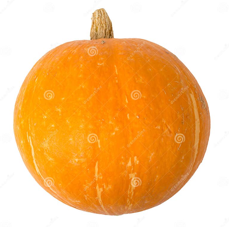 Pumpkin on White, Front View Stock Image - Image of pumpkin, fresh ...