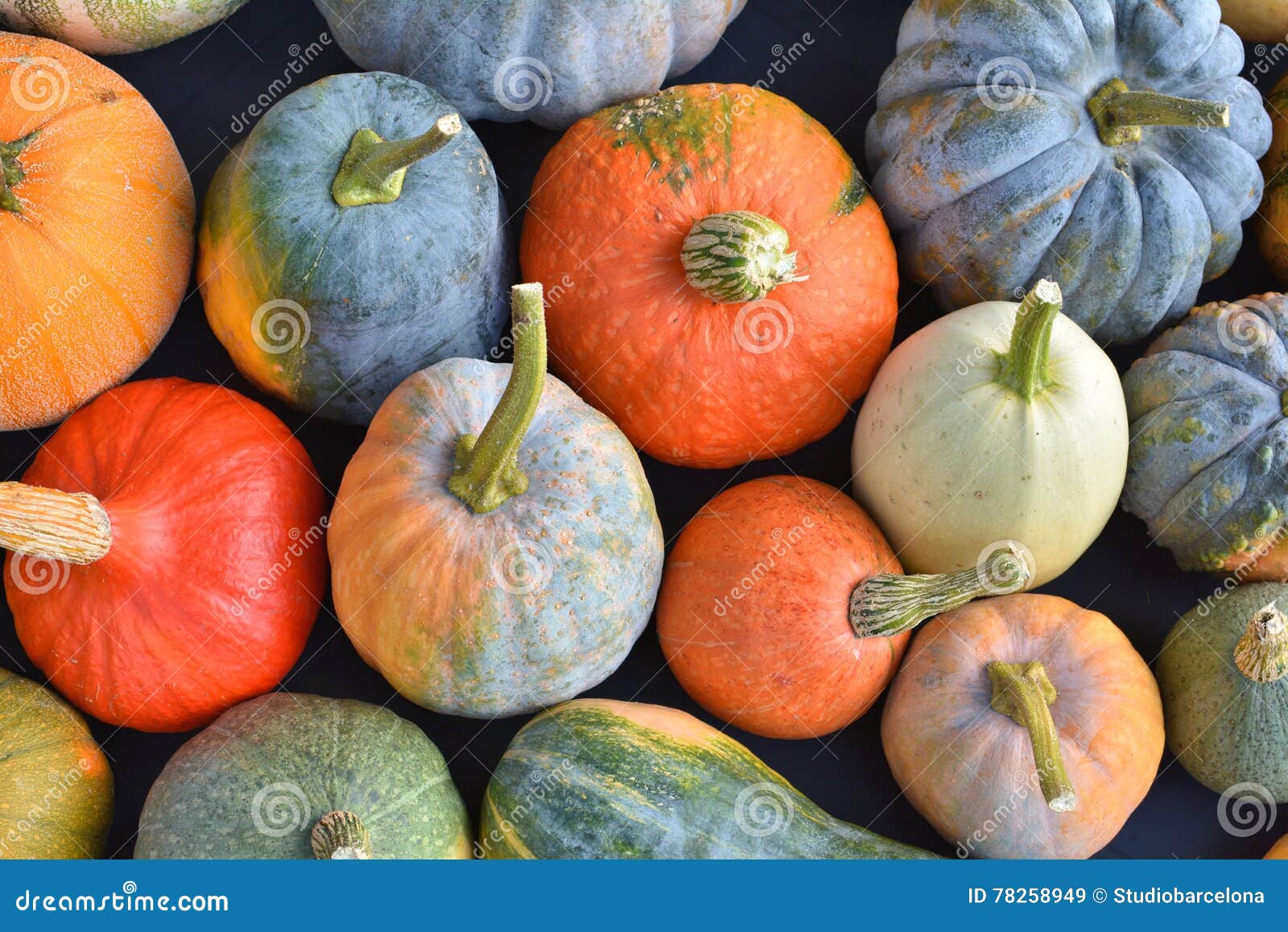 Pumpkin and winter squash stock image. Image of heirloom - 78258949