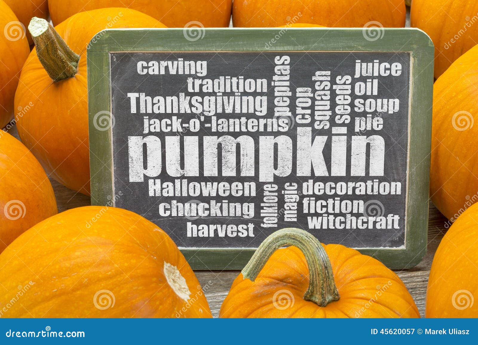 Pumpkin word cloud stock image. Image of chucking, pumpkin - 45620057