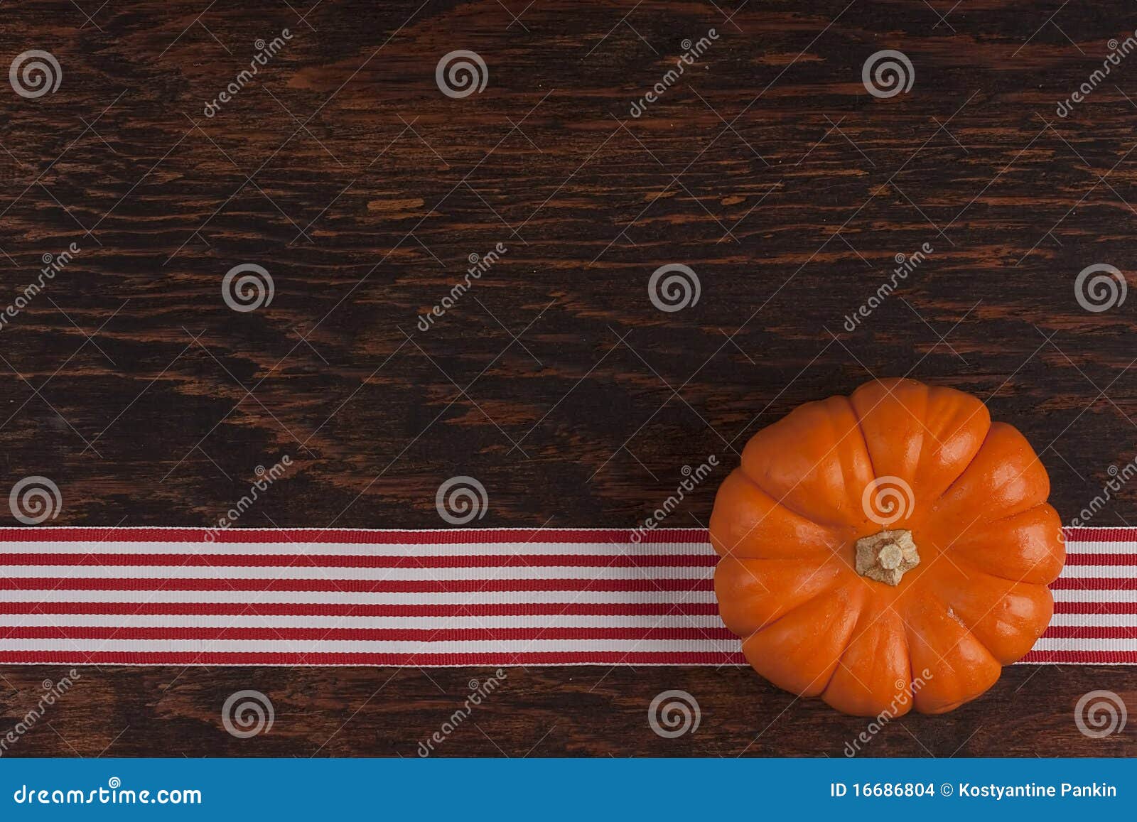 Pumpkins stock photo. Image of macro, halloween, fall - 16686804