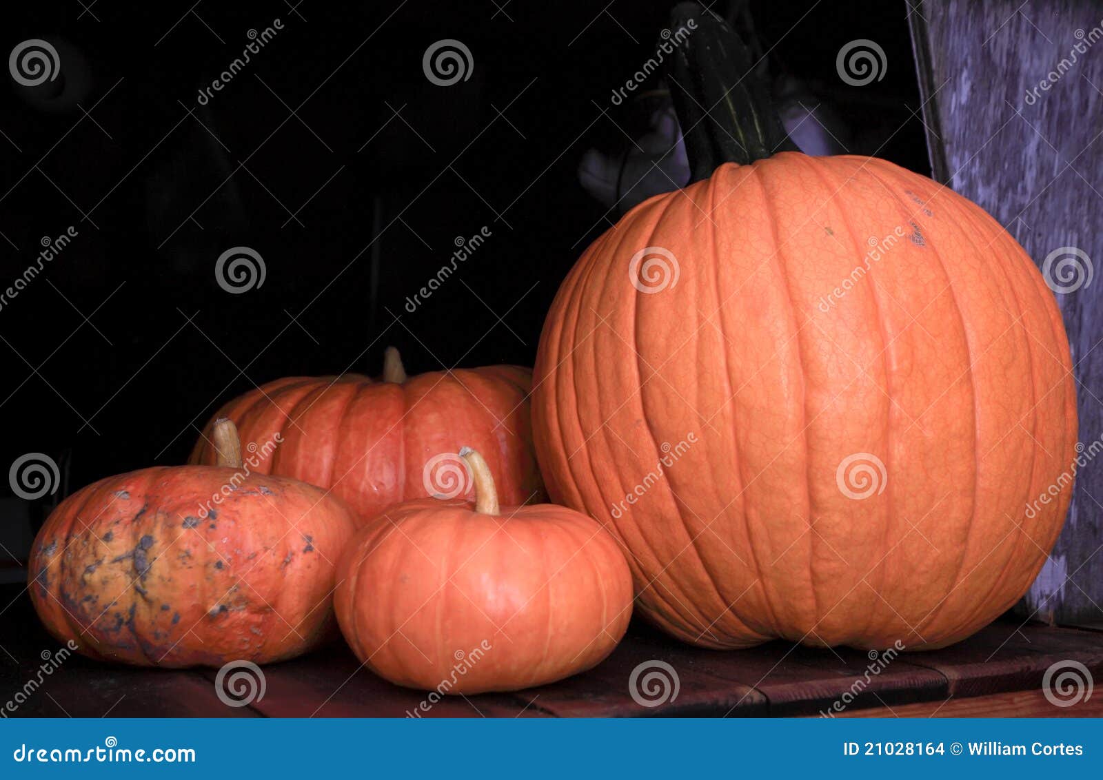 Pumpkins stock photo. Image of crop, fall, harvest, market - 21028164
