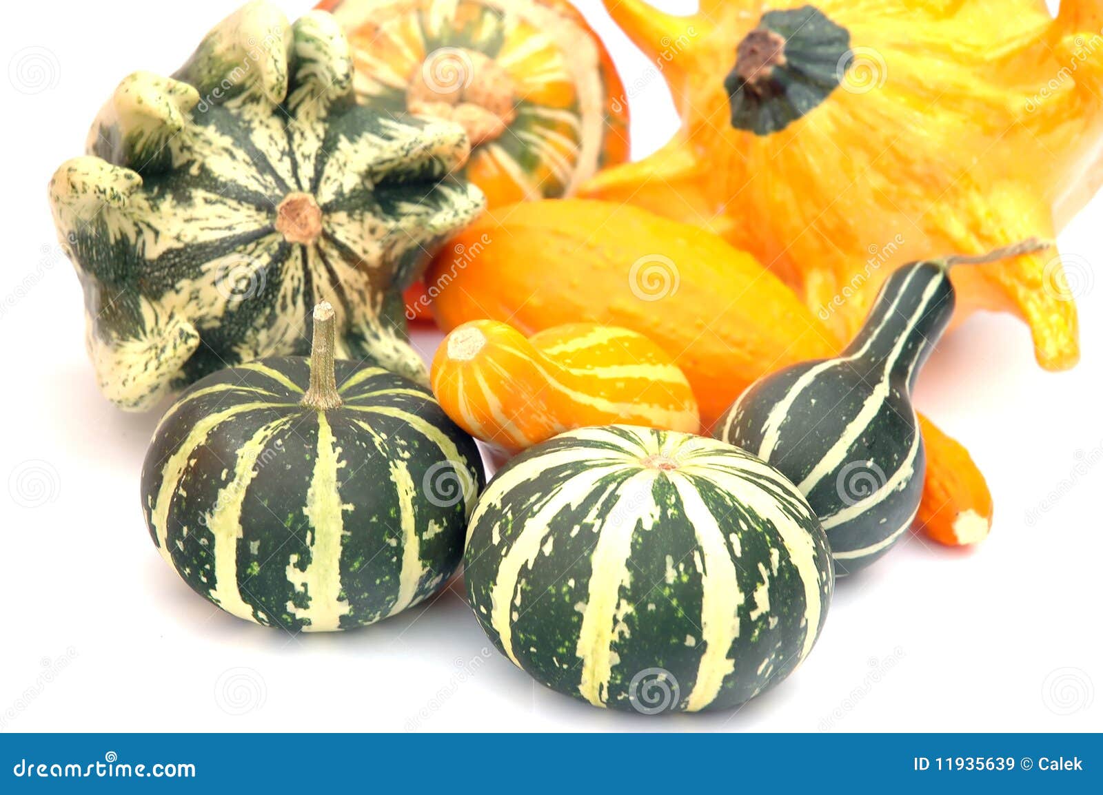 Pumpkins 4 stock image. Image of bright, holiday, decorative - 11935639
