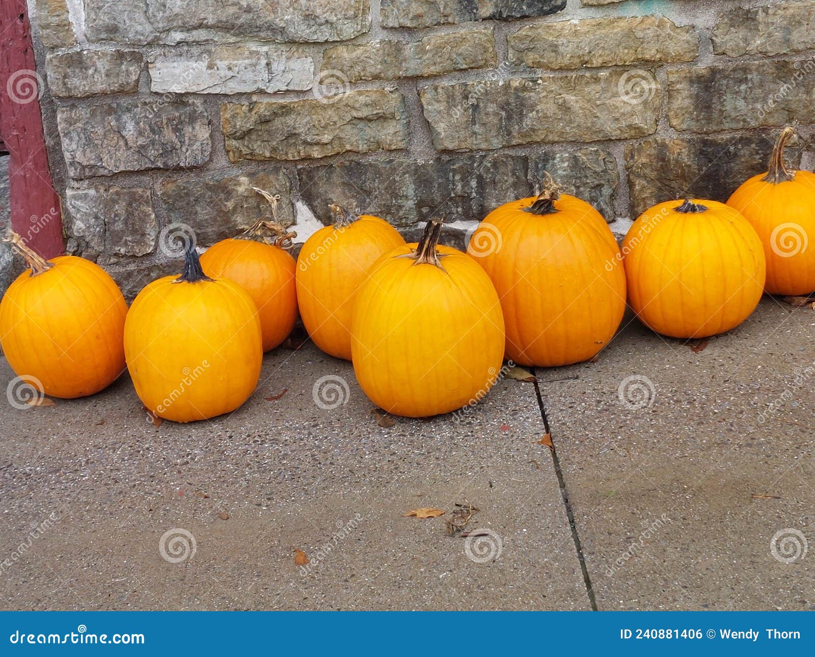 Pumpkins Against Stone Corn Stalks Stock Photo - Image of pumpkins ...