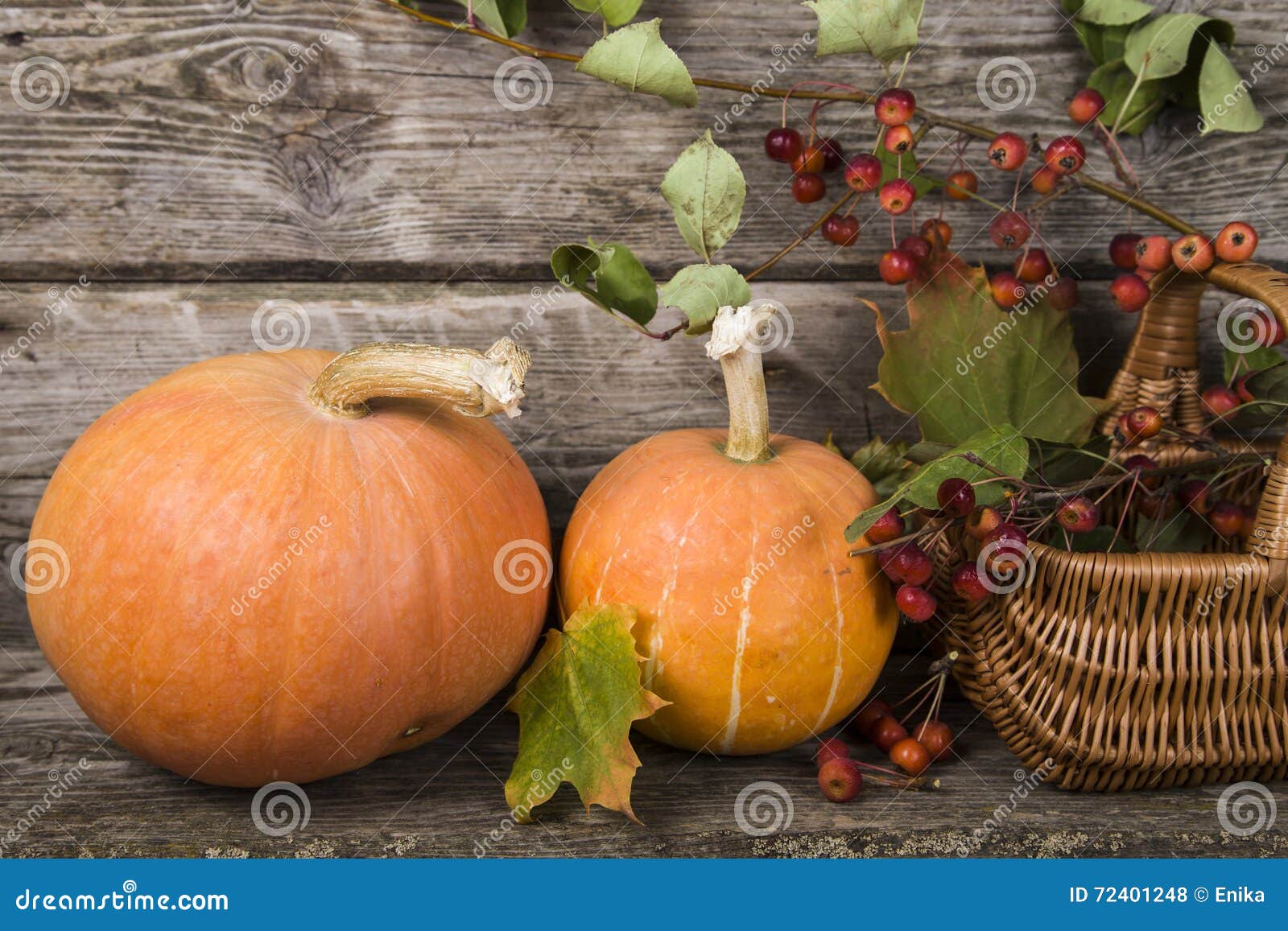 Pumpkins,basket and Fall Leaves Stock Photo - Image of family, fall ...