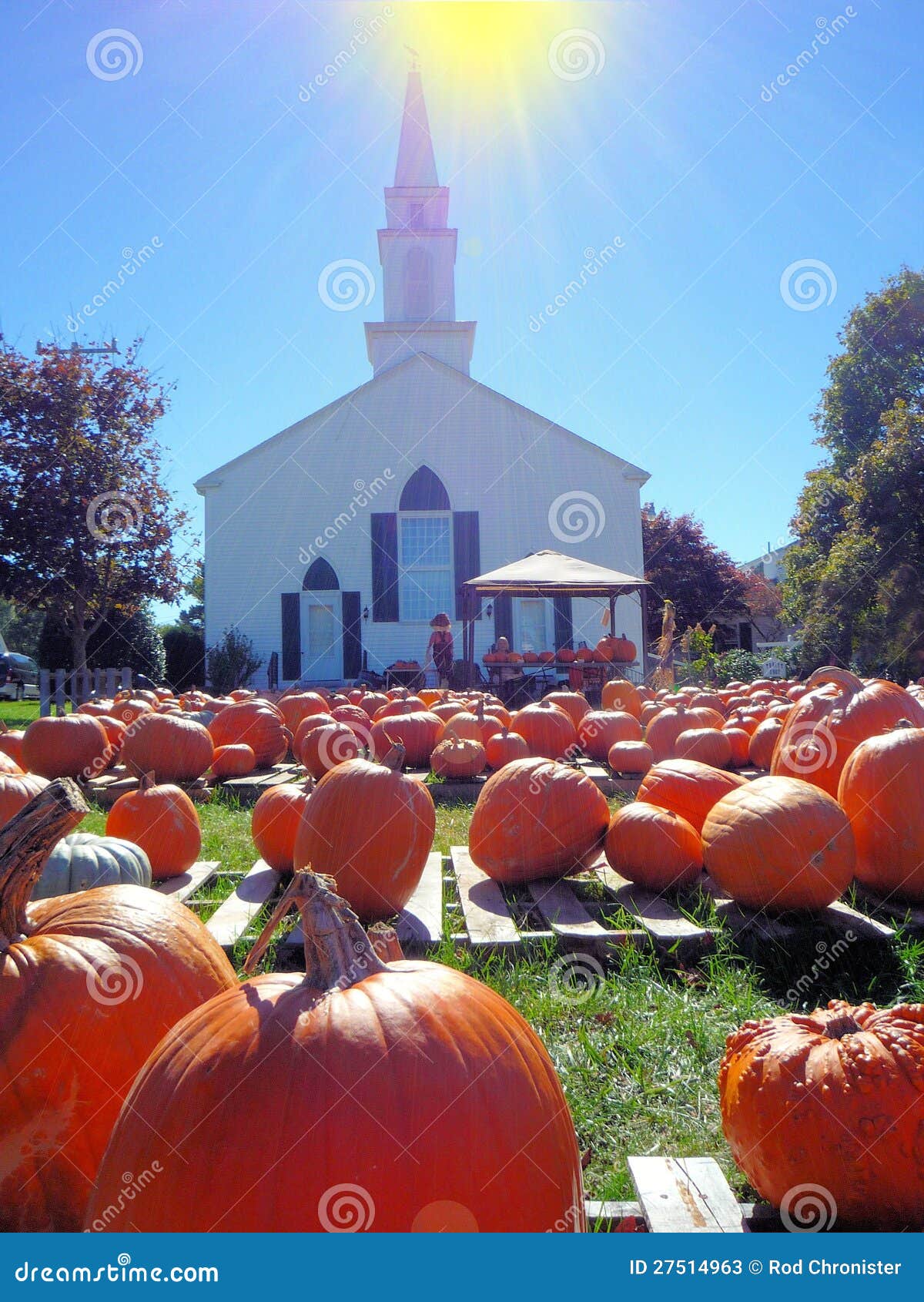 Pumpkins in church yard stock image. Image of sunshine - 27514963