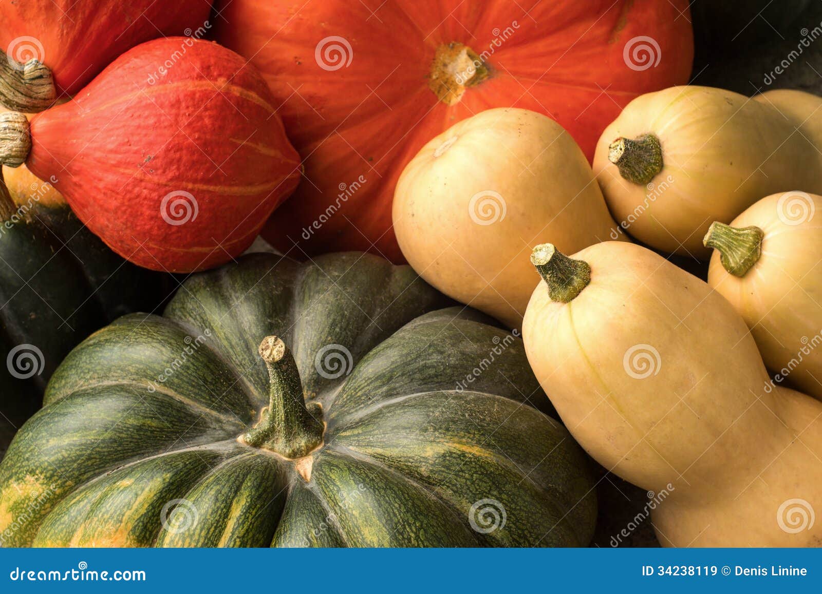 Pumpkins stock image. Image of colorful, pumpkins, agriculture - 34238119