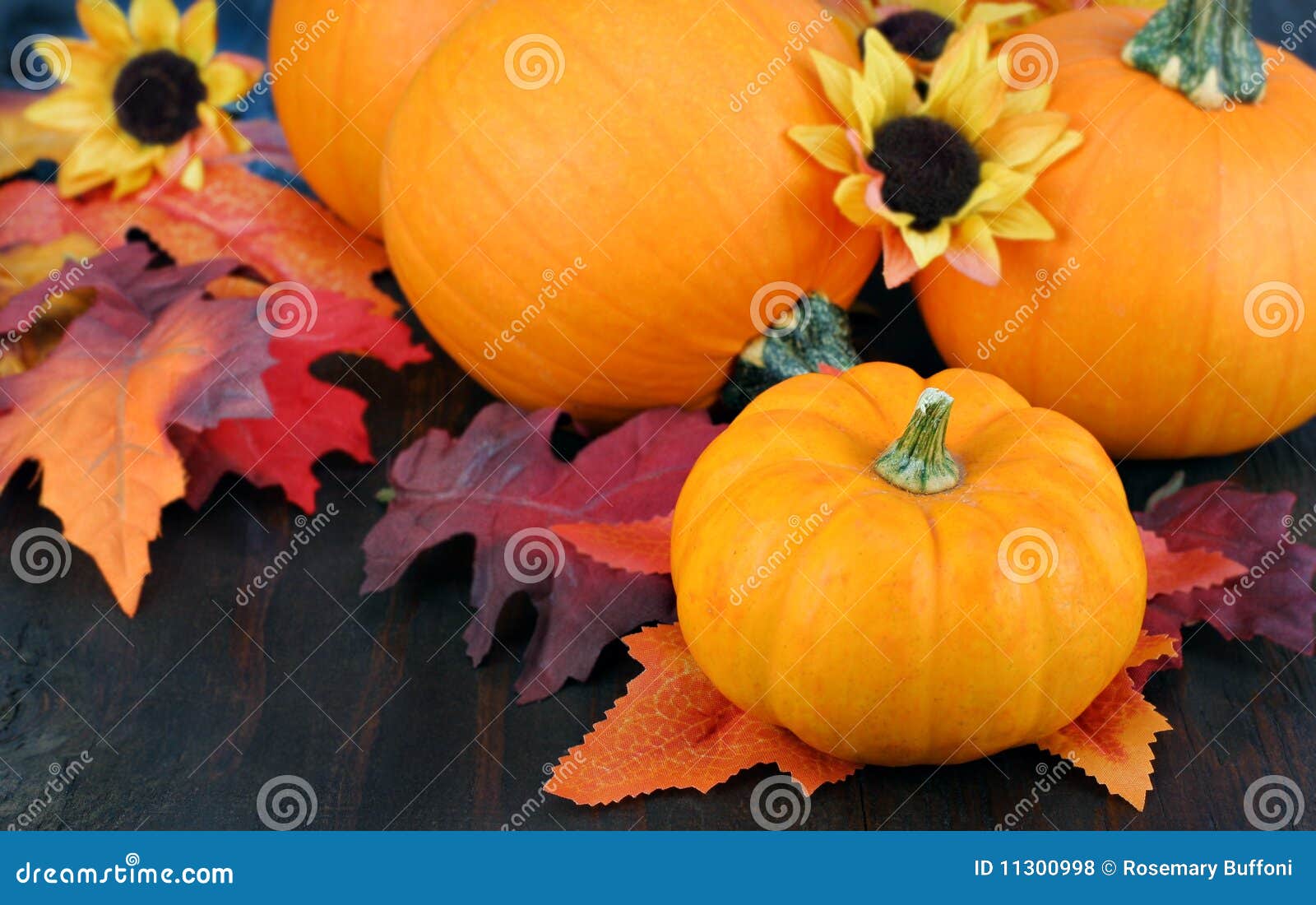 Pumpkins, Daisies and Fall Leaves. Stock Photo - Image of flowers ...