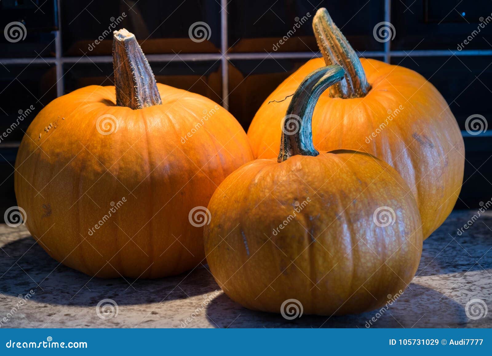 Pumpkins of Different Sizes Clumped Together Stock Image - Image of ...