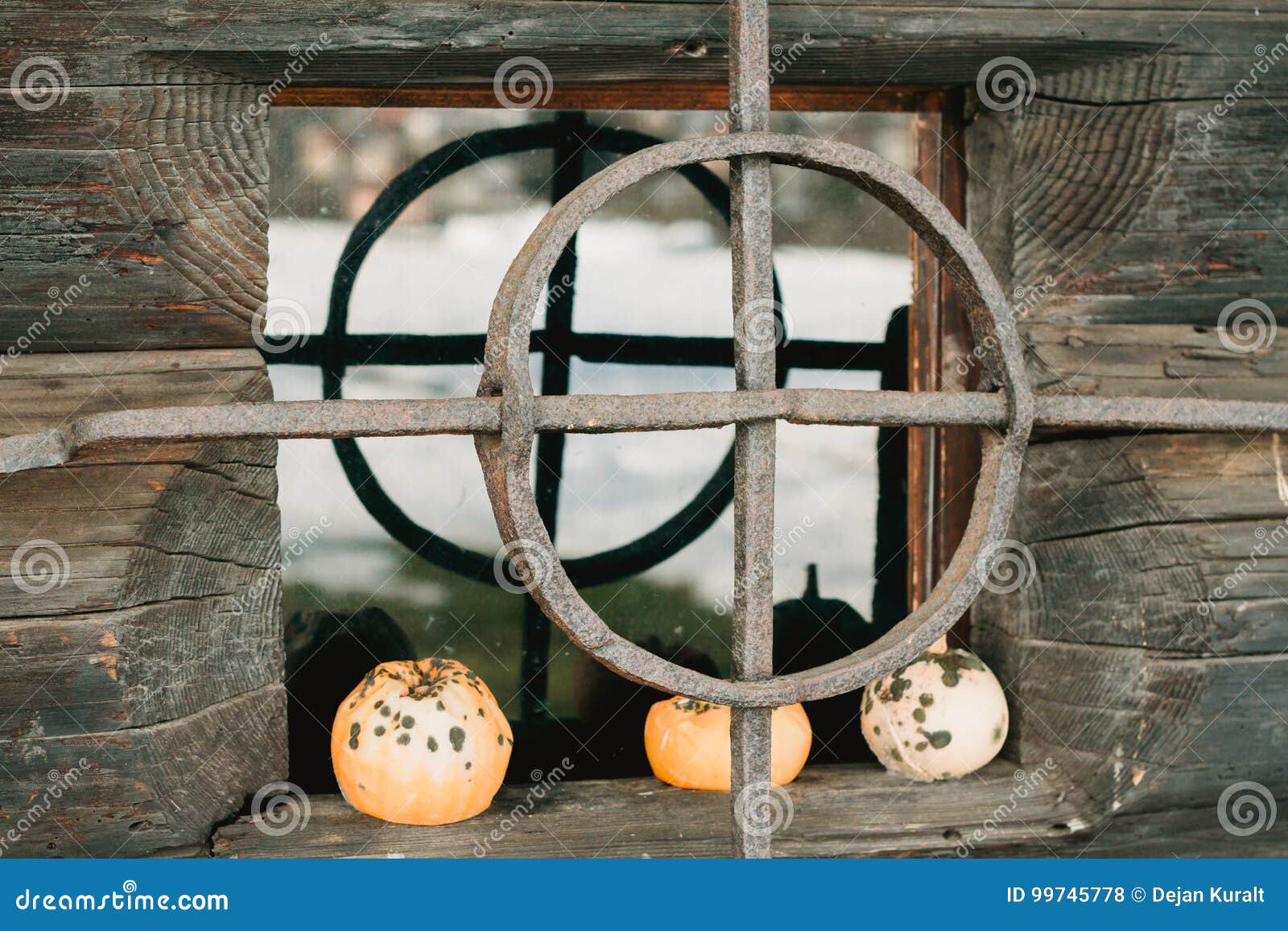 Pumpkins on display stock photo. Image of architecture - 99745778