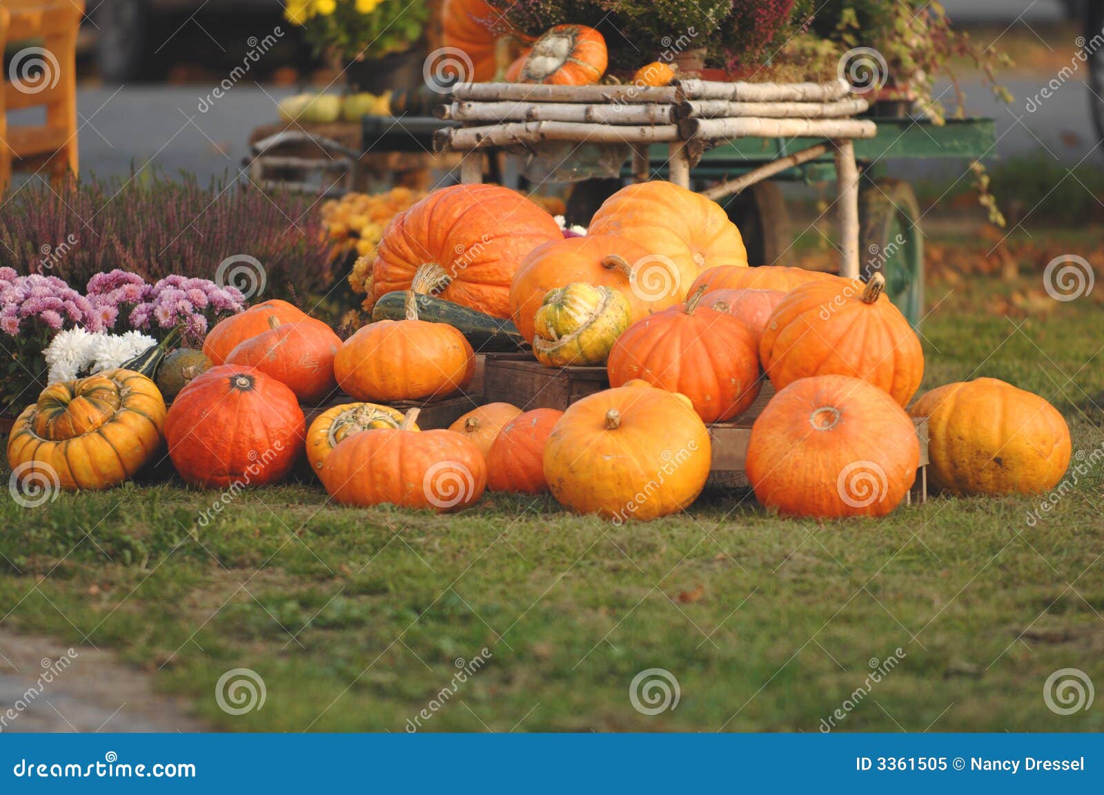 Pumpkins in fall stock image. Image of festive, decoration - 3361505