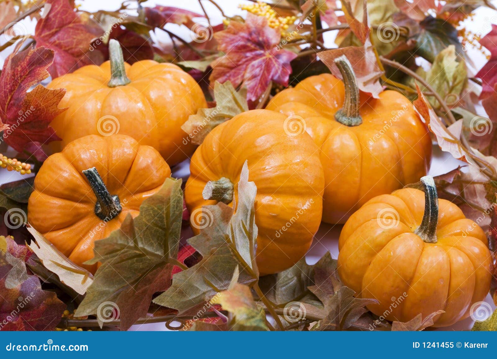 Pumpkins with fall leaves stock image. Image of orange - 1241455