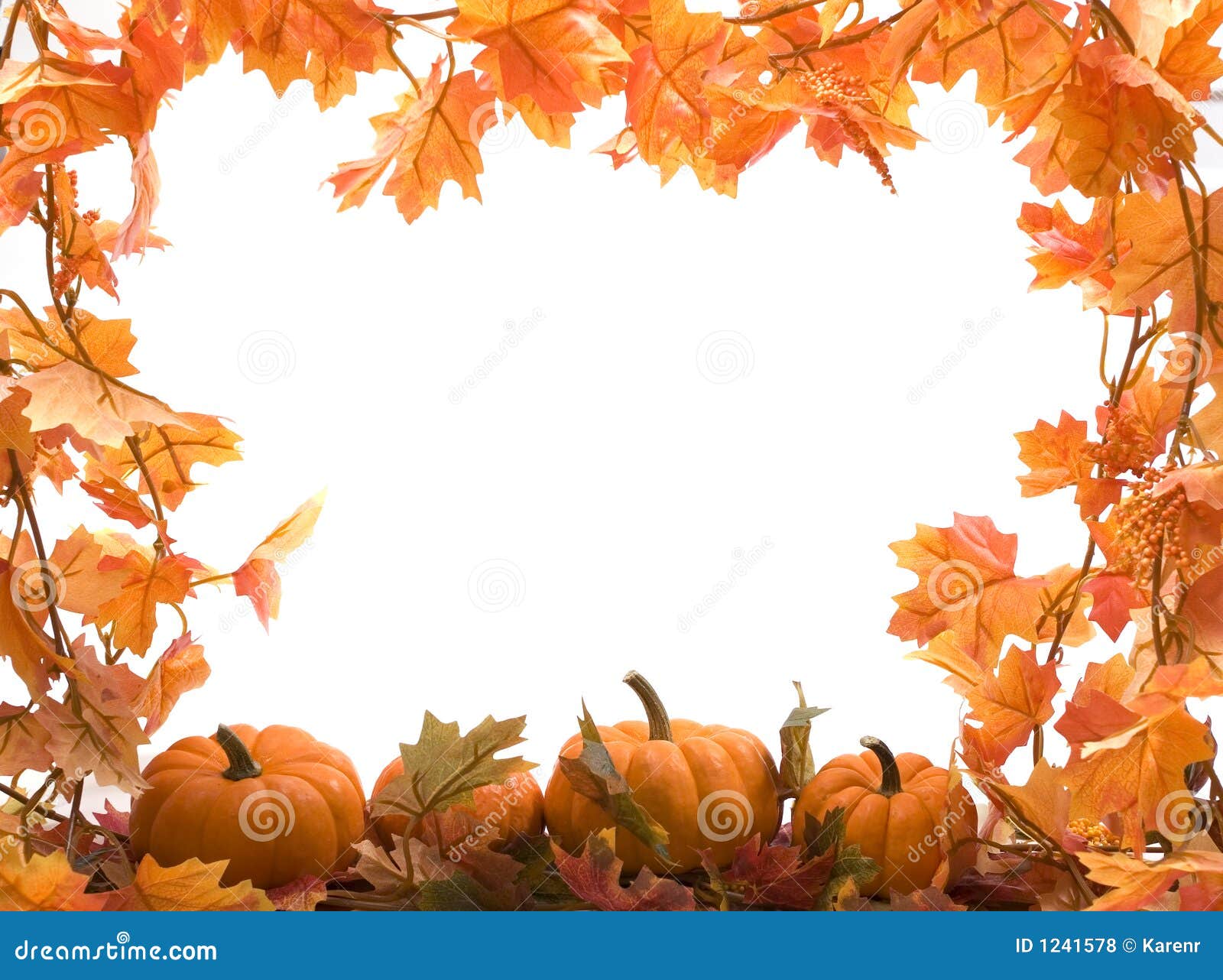 Pumpkins with fall leaves stock photo. Image of five, bunch - 1241578