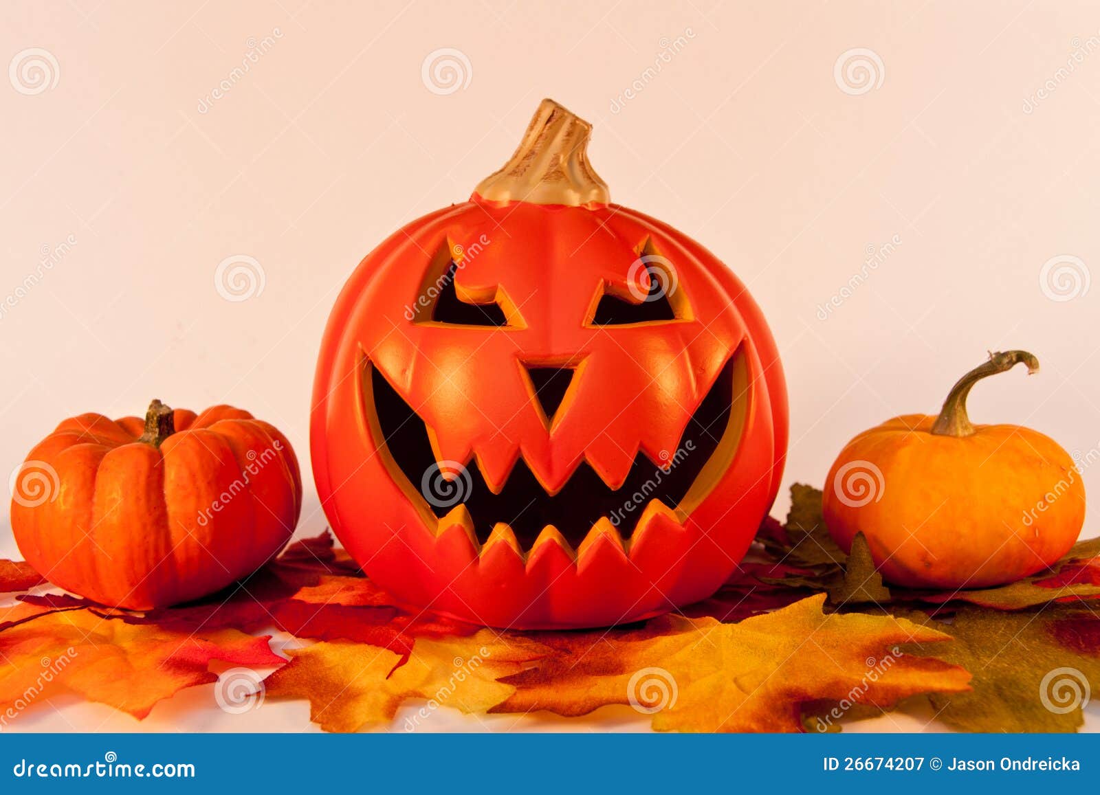 Pumpkins on Fall Leaves stock image. Image of colorful - 26674207
