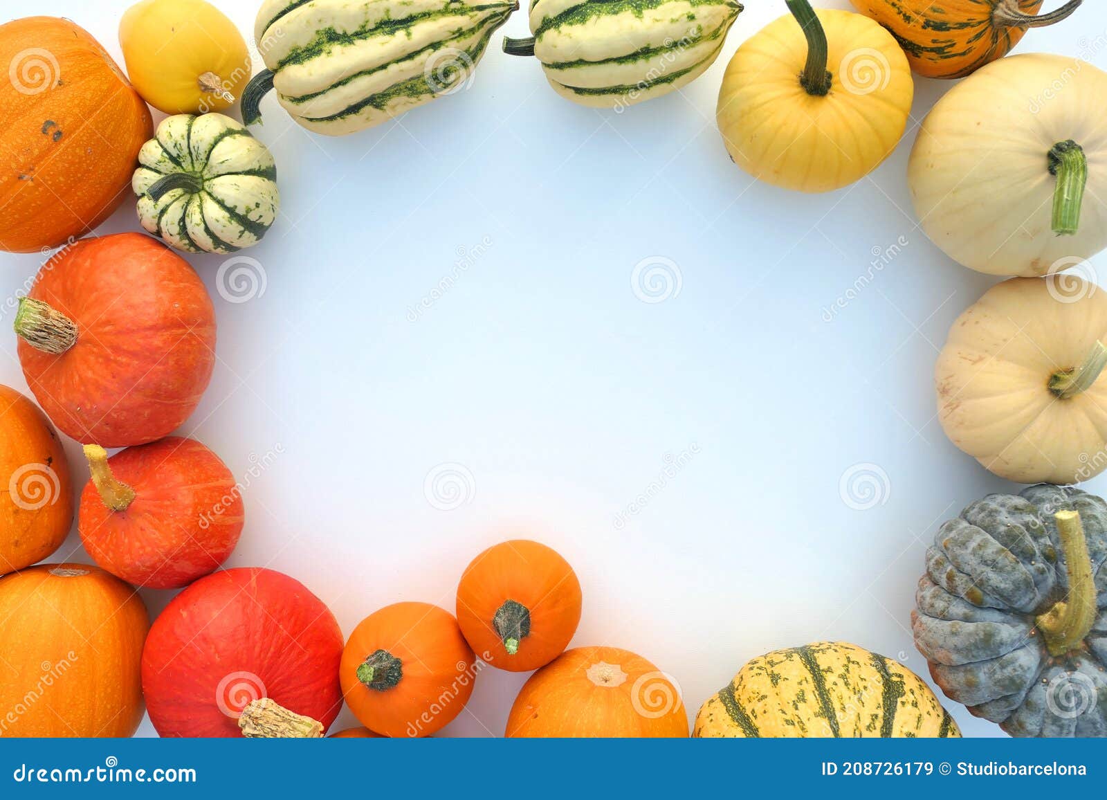 Pumpkins food background stock image. Image of vegetables - 208726179