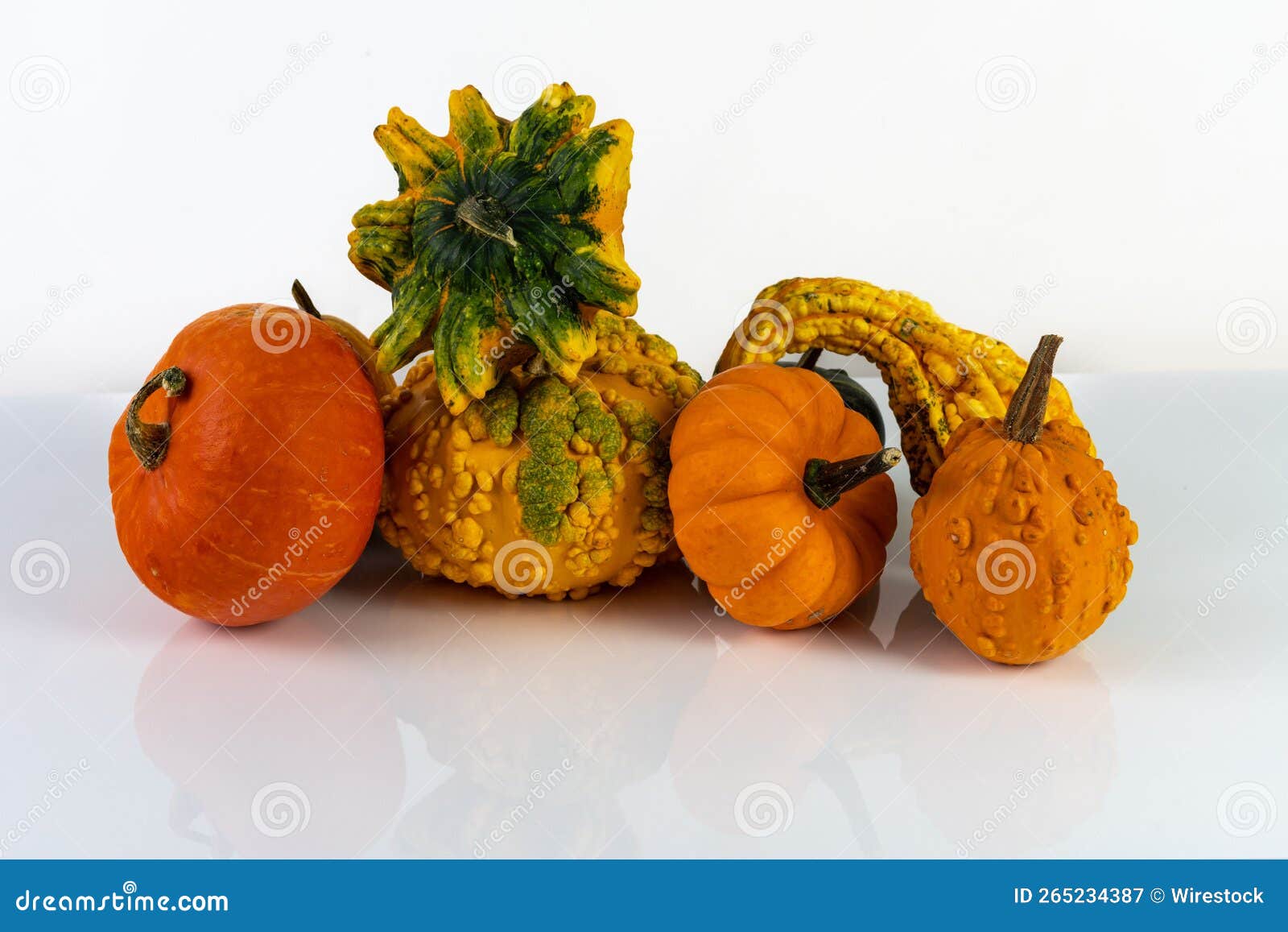 Pumpkins and and Gourd Bumpy Orange on White Background with Copy Space ...