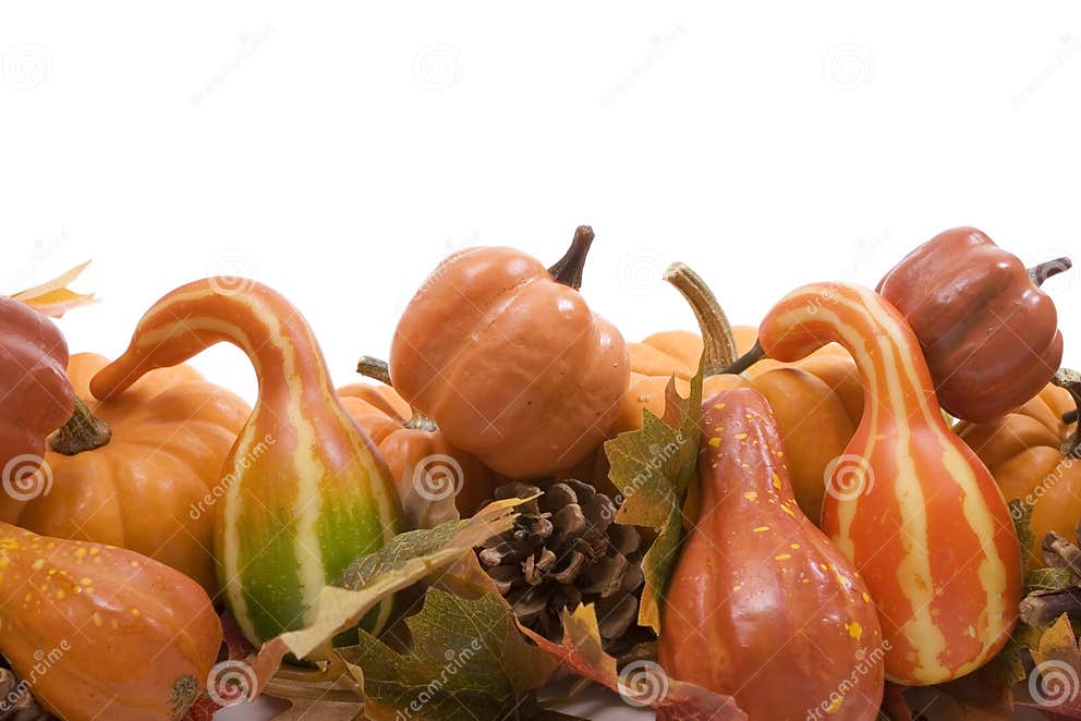 Pumpkins and Gourds with Fall Stock Photo - Image of background, border ...