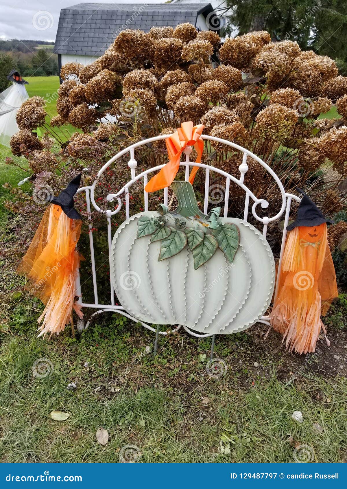 Halloween Time and Fun Had by Everyone Stock Image - Image of halloween ...