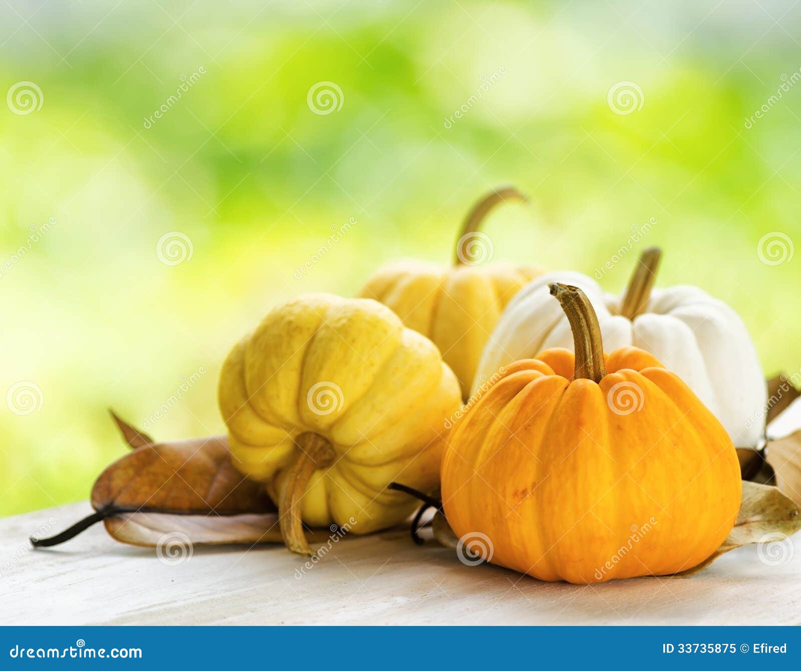 Pumpkins on Green Natural Background Stock Image - Image of fresh ...