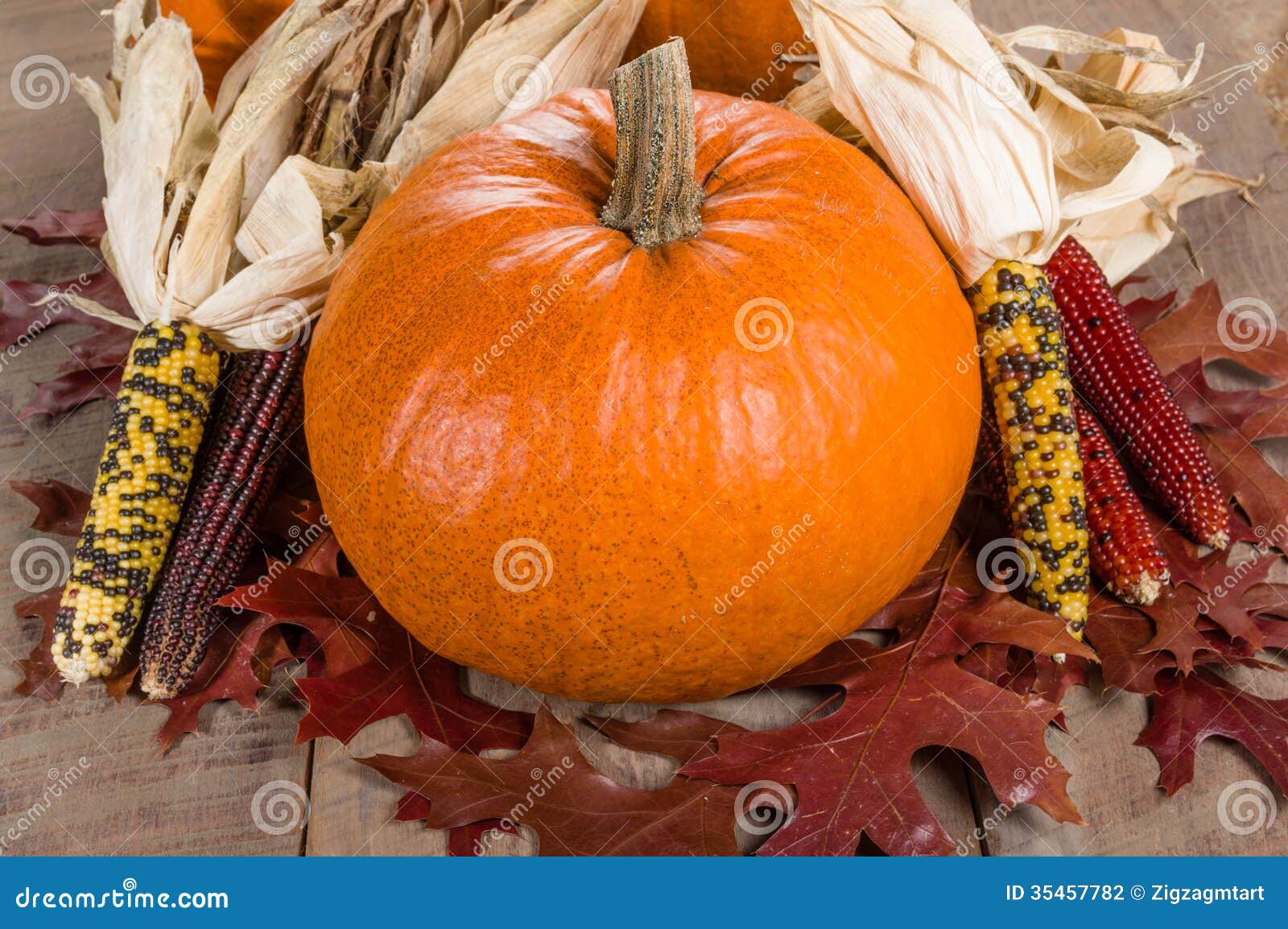 Pumpkins Indian Corn and Fall Leaves Stock Photo - Image of halloween ...