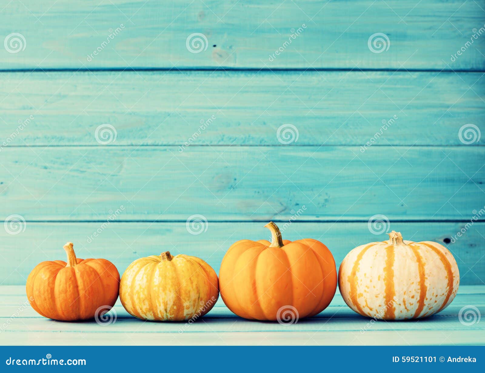 Turquoise Leave Art Stock Photos - Free & Royalty-Free Stock Photos ...