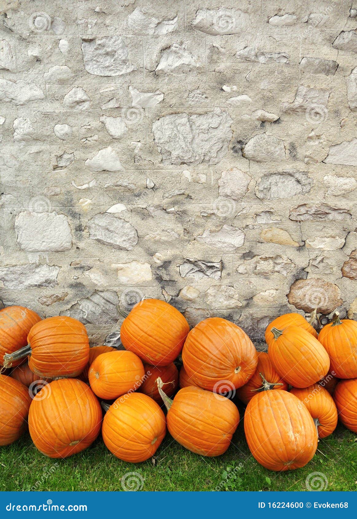 Pumpkins Piled Against a Rustic Stone Wall Stock Photo - Image of ...