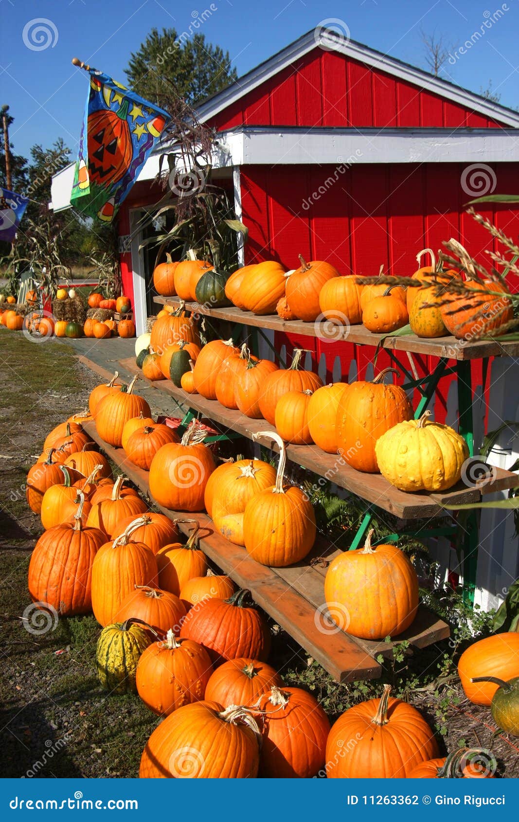 Pumpkins, Pumpkins! Portland Oregon. Stock Photo - Image of stand ...
