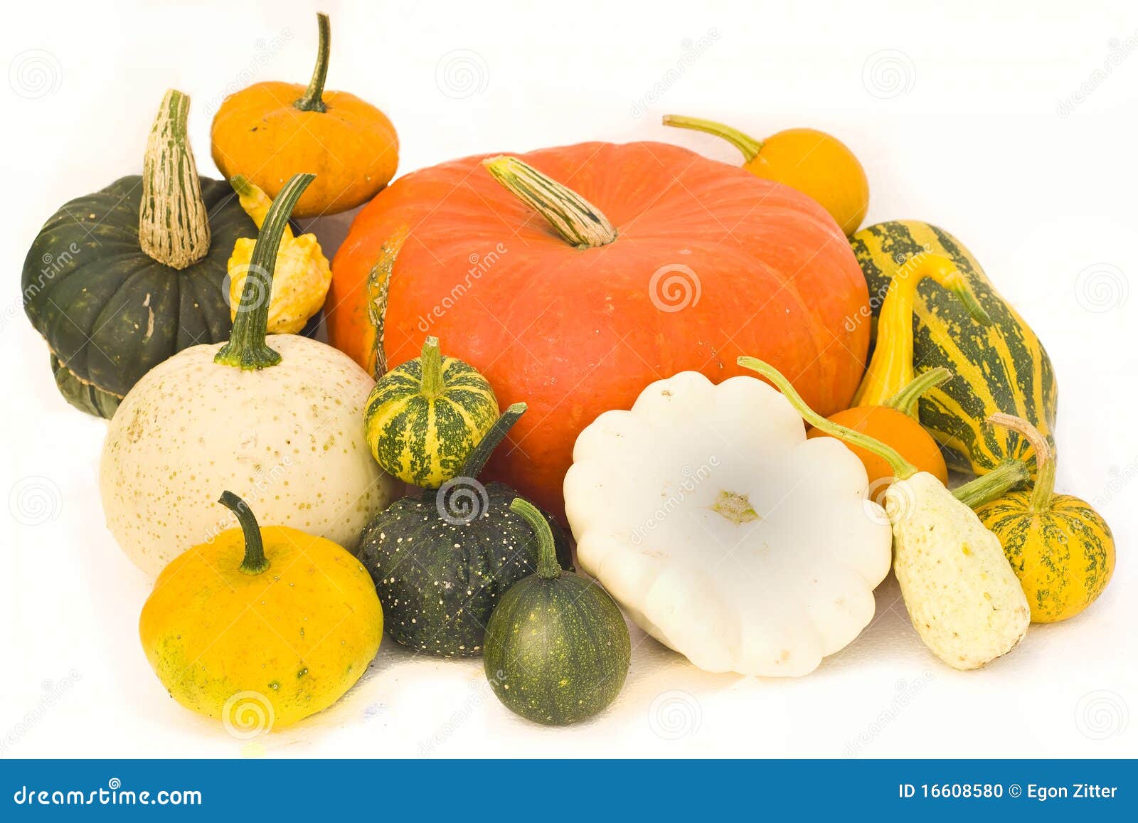 Pumpkins squash stock photo. Image of round, produce - 16608580