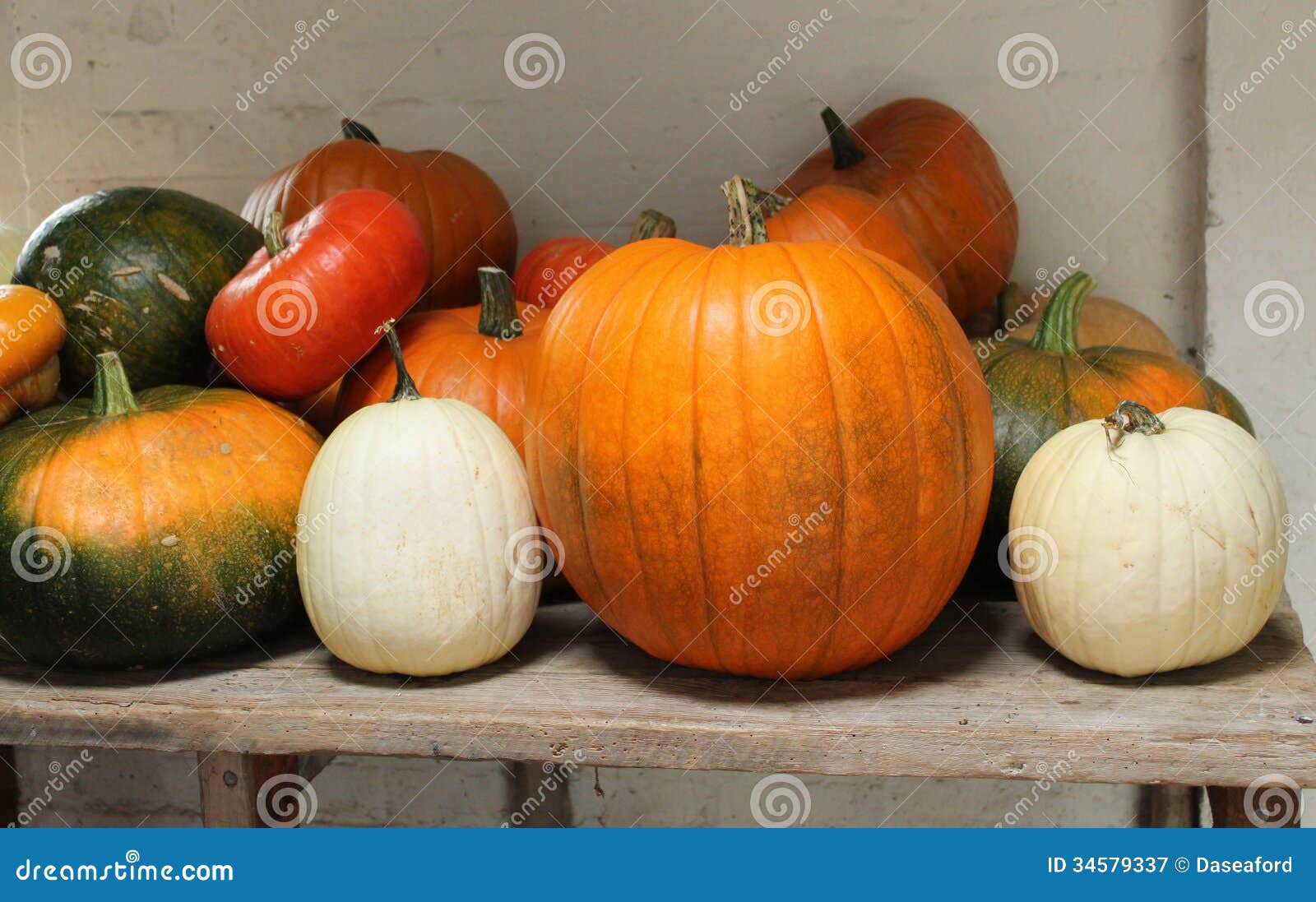 Pumpkins and Squashes. stock image. Image of food, garden - 34579337