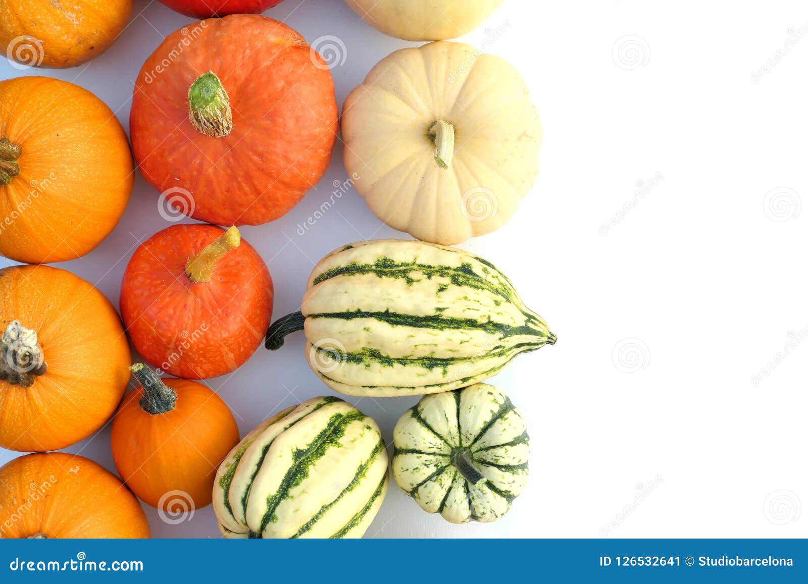 Pumpkins and Squashes Varieties Stock Image - Image of heirloom ...