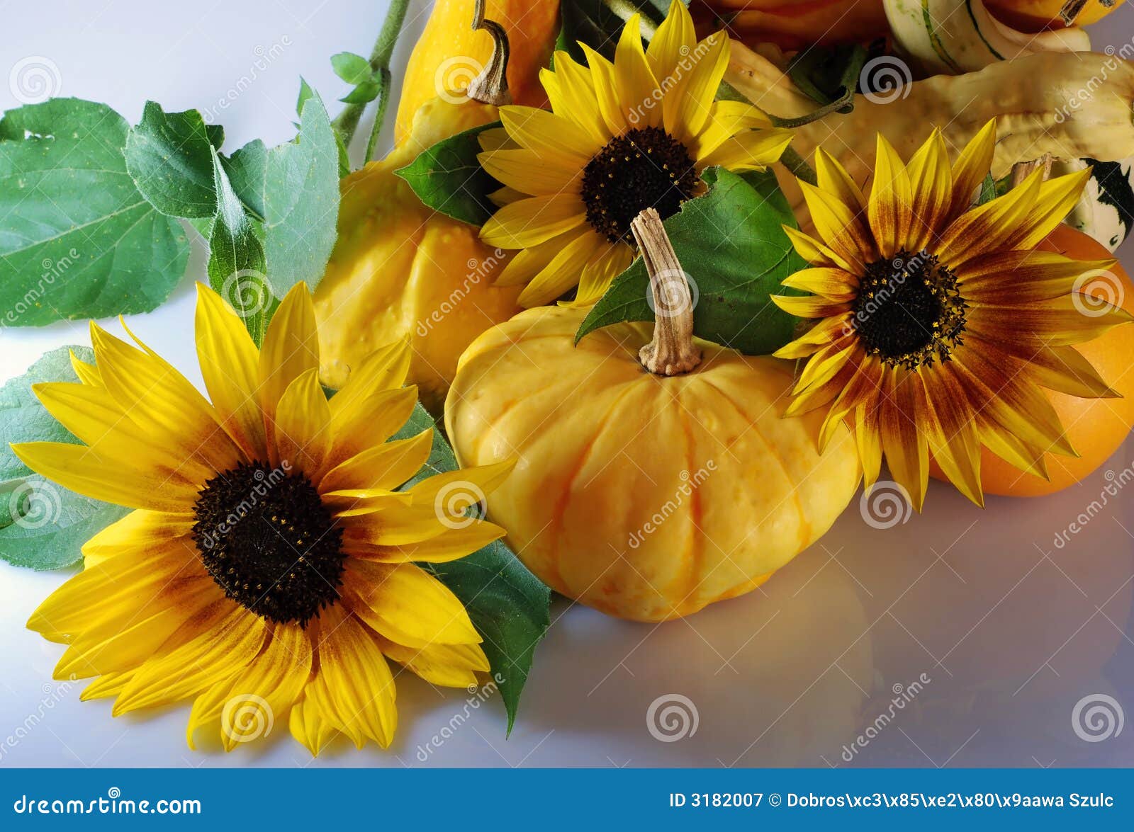 Pumpkins With Sunflowers Picture. Image: 3182007