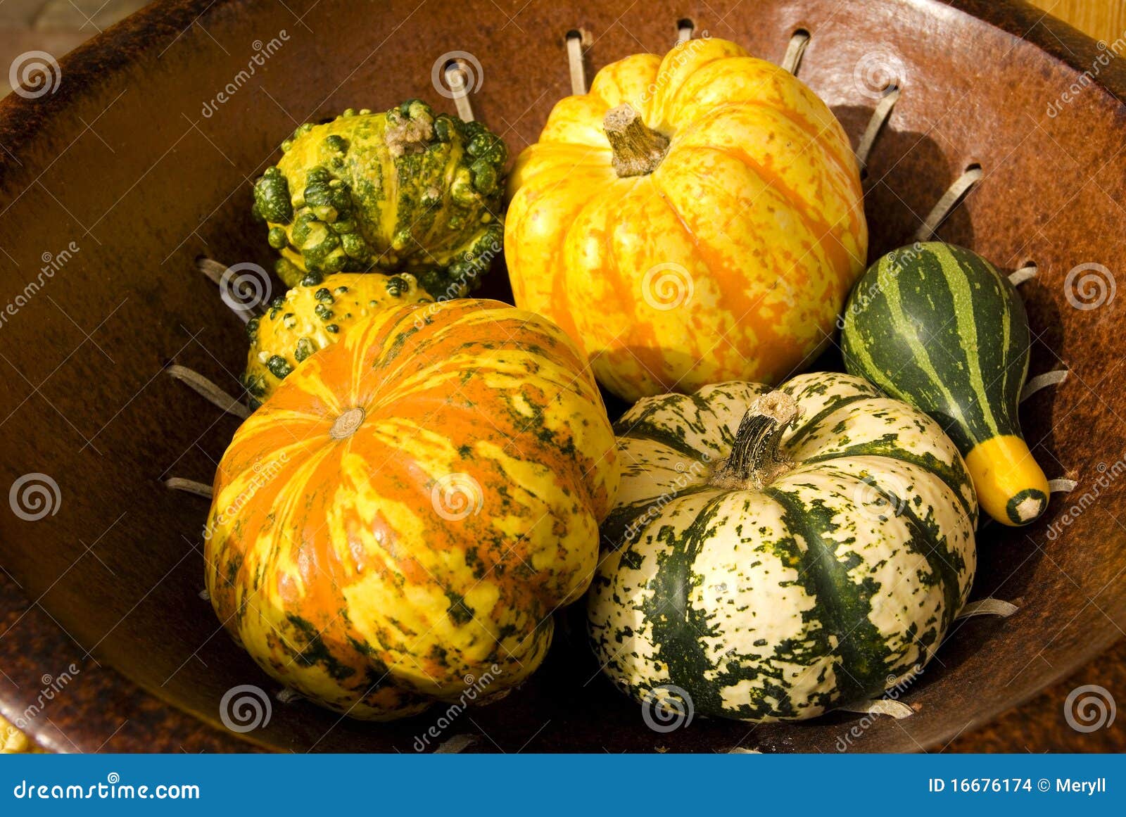 Pumpkins Vegetable Background Stock Photo - Image of decorative, beauty ...