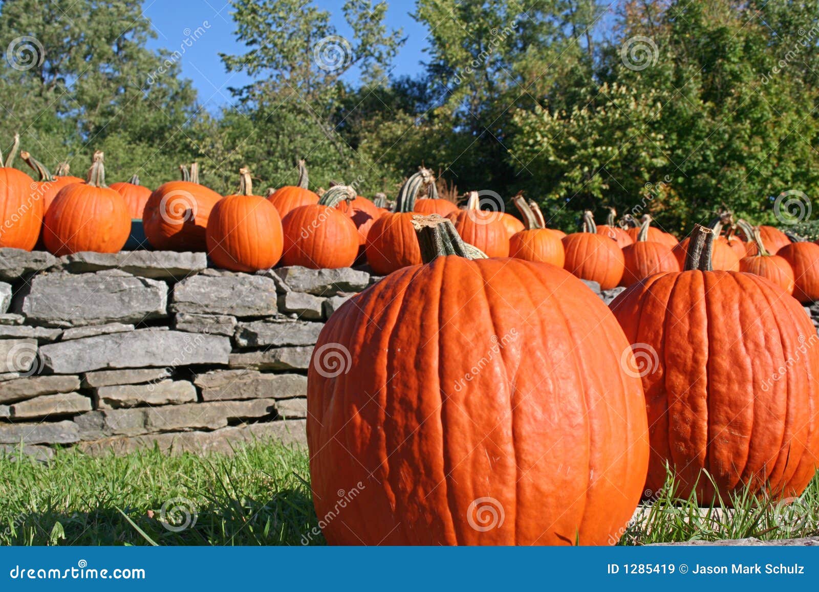 Pumpkins on a wall stock image. Image of pumpkins, texture - 1285419