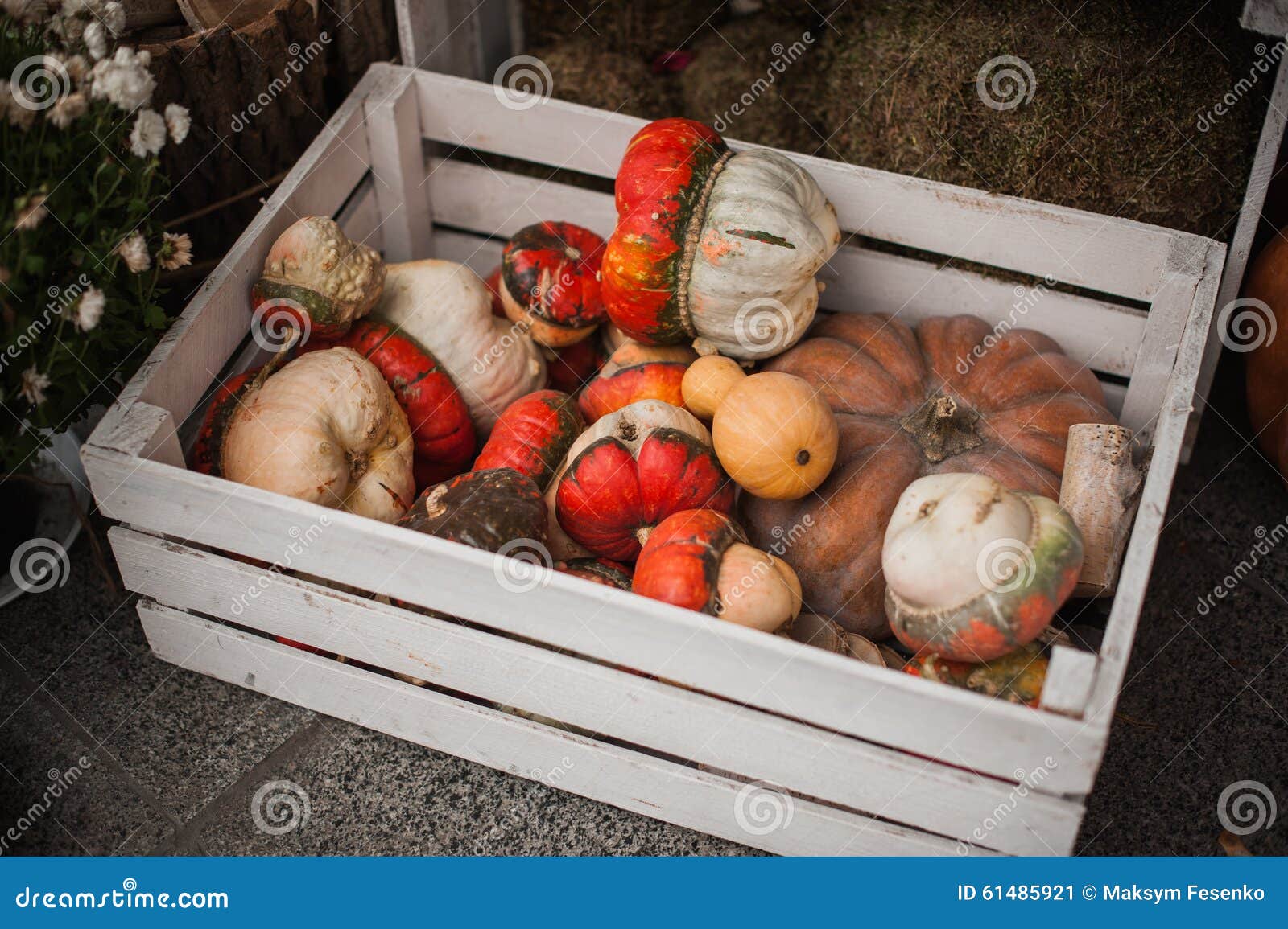 Pumpkins in a Wooden Box Rustic Style Stock Image - Image of food, fall ...
