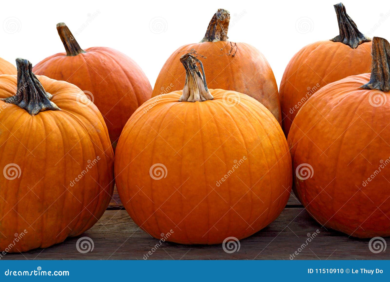 Pumpor arkivfoto. Bild av vitt, pumpa, utformning, boris - 11510910