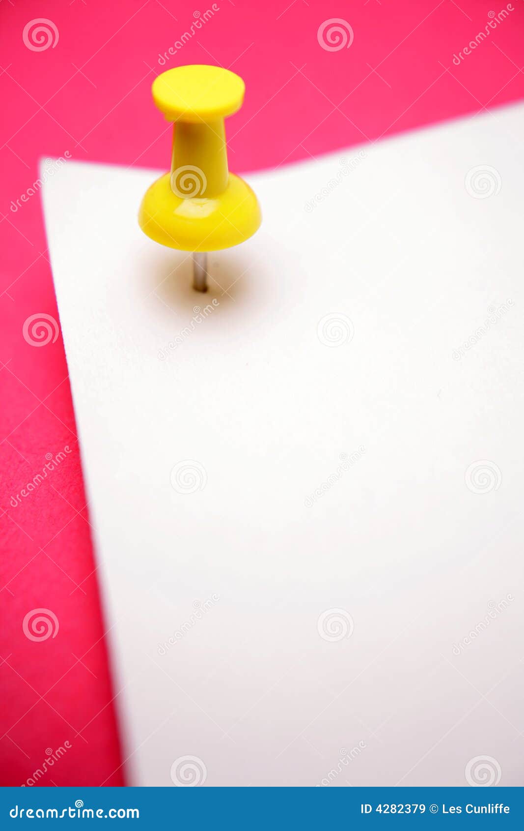 Punaise en papier image stock. Image du vide, secrétaire - 4282379