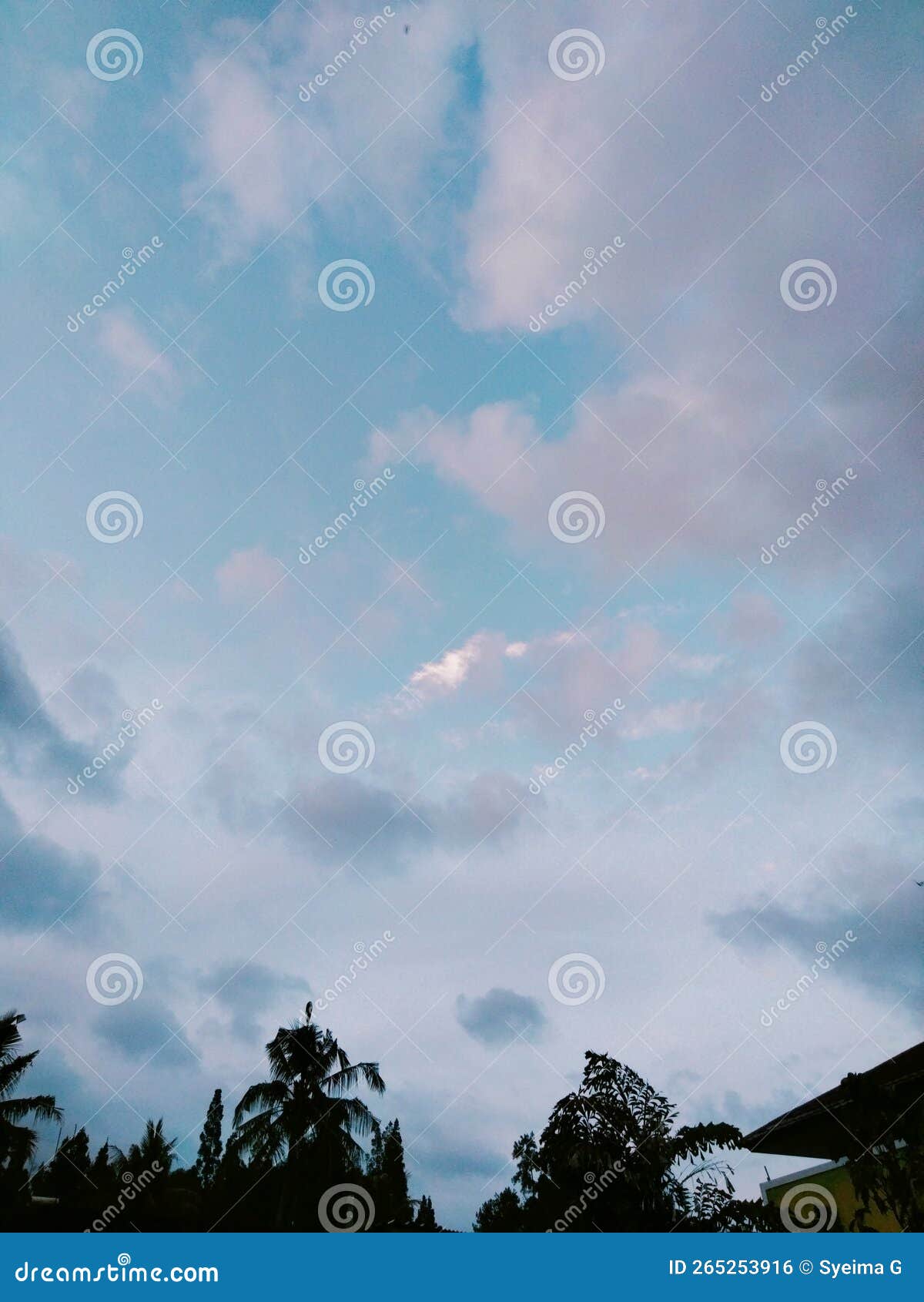 Puncak Tea Forest stock photo. Image of cloud, painting - 265253916