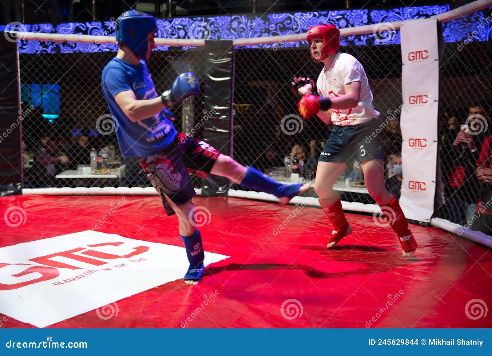 Punch mma editorial stock image. Image of performance - 245629844
