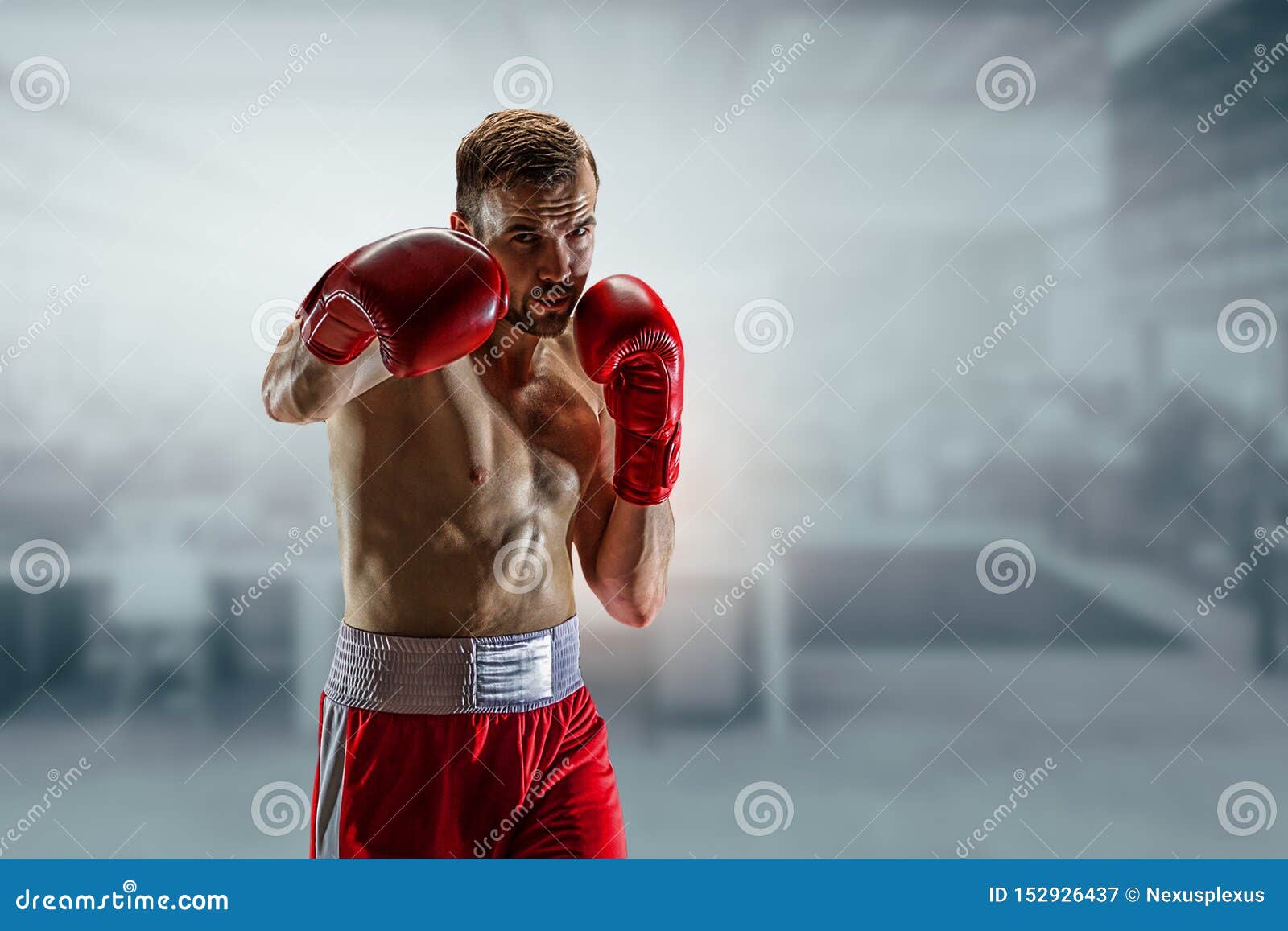 Punch of Professional Young Boxer Stock Image - Image of challenge ...