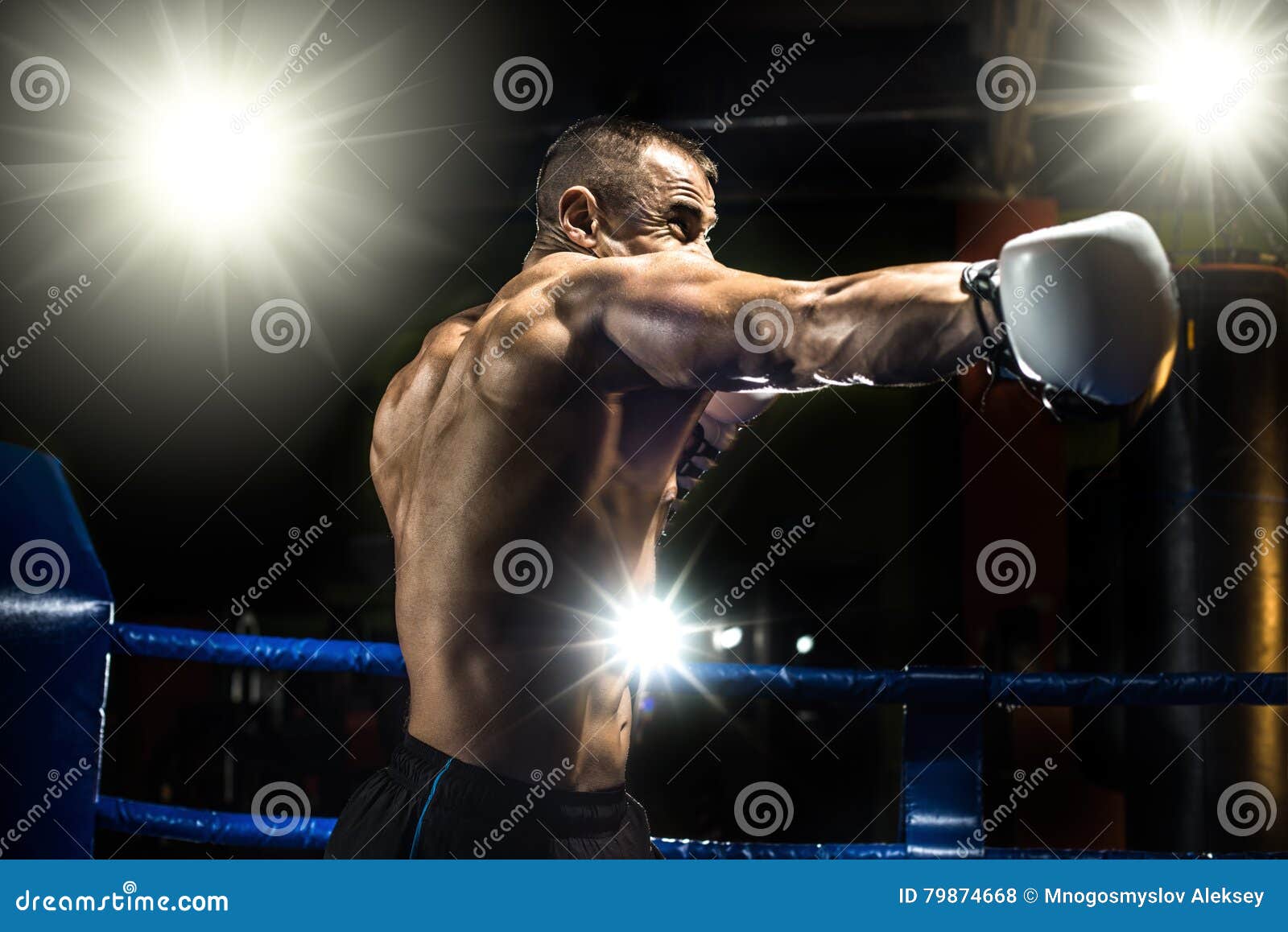 Punching Boxer On Boxing Ring Stock Photography | CartoonDealer.com ...